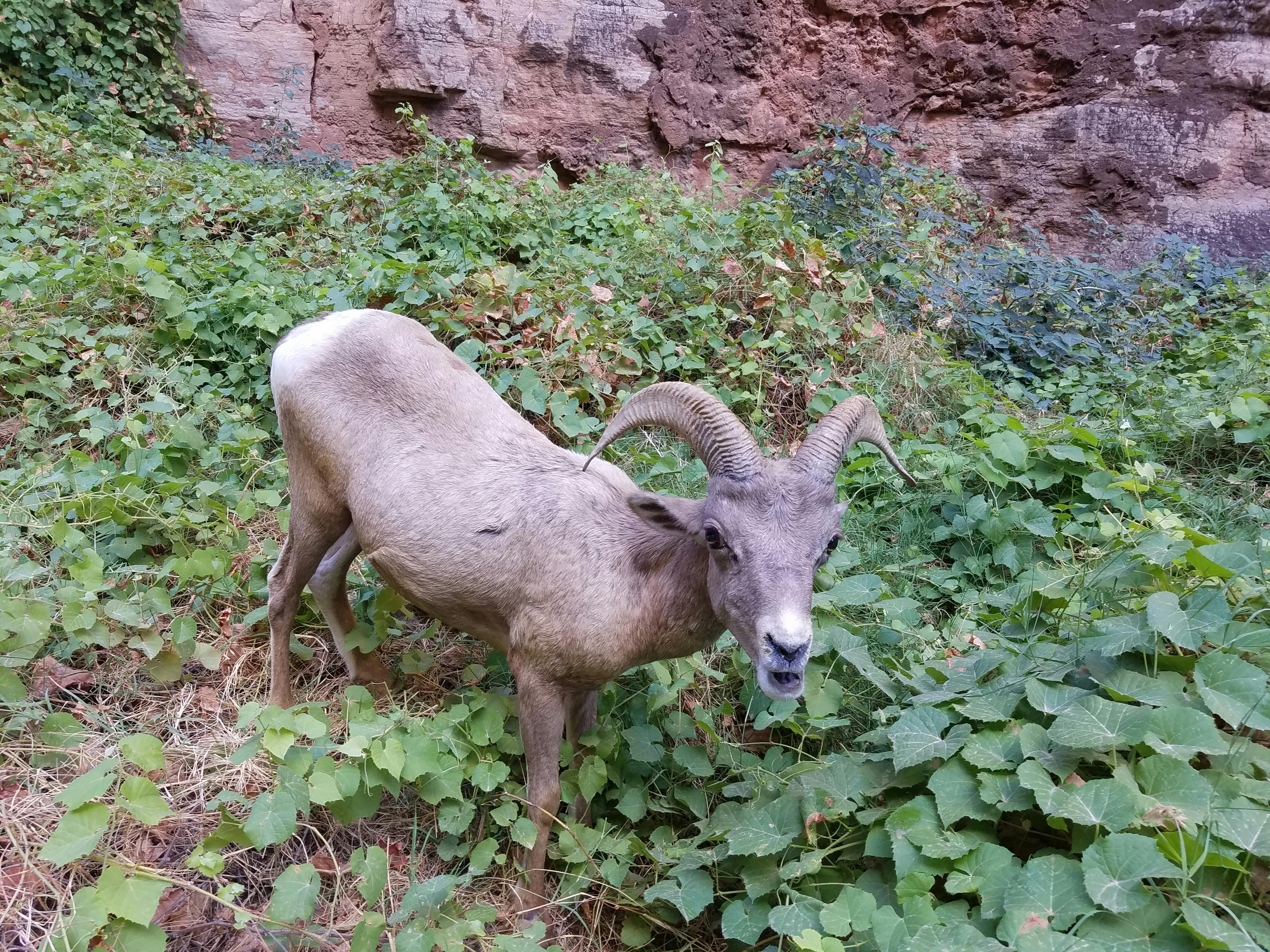 Naturesme - Photography