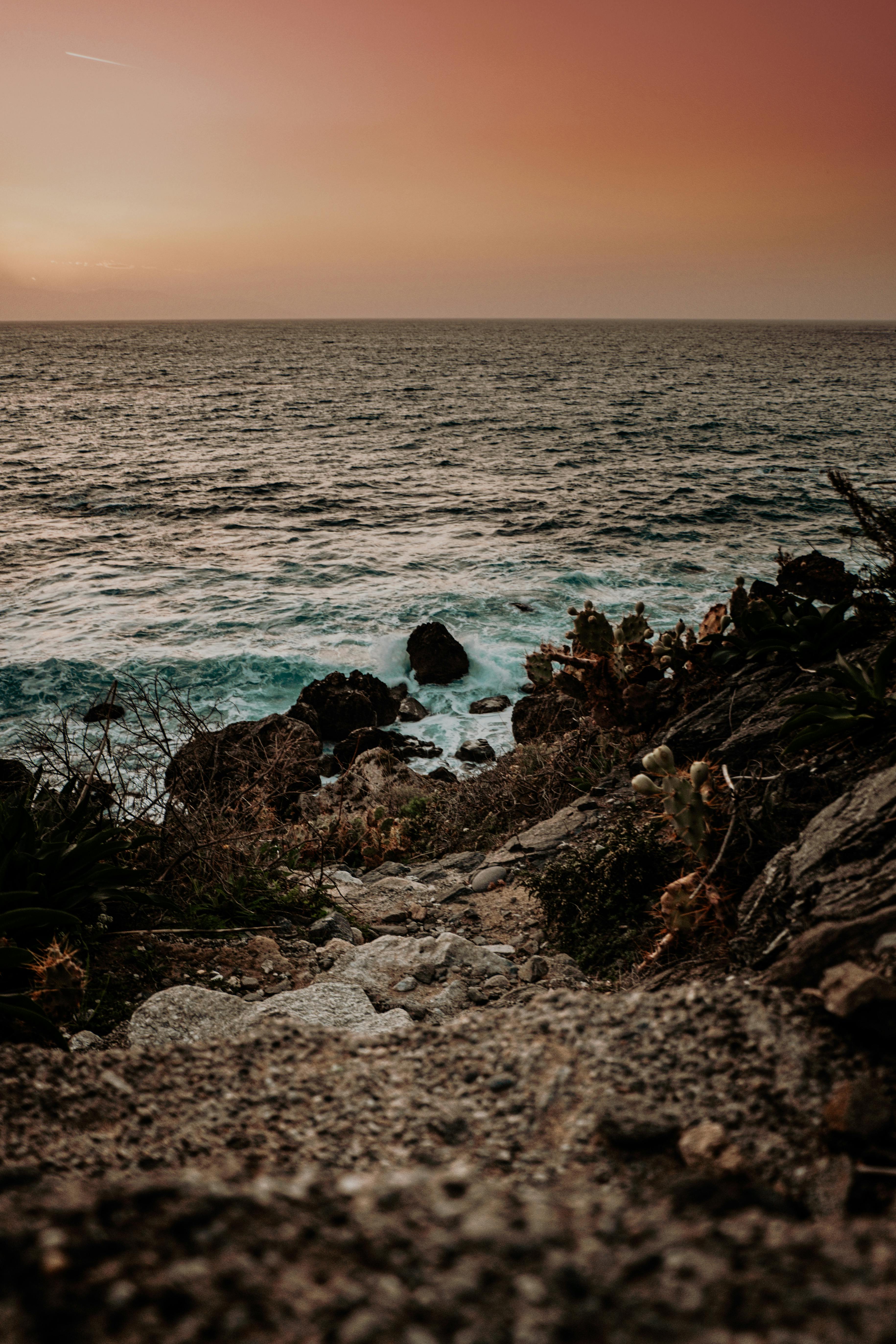 Green Grass Field Near Sea · Free Stock Photo