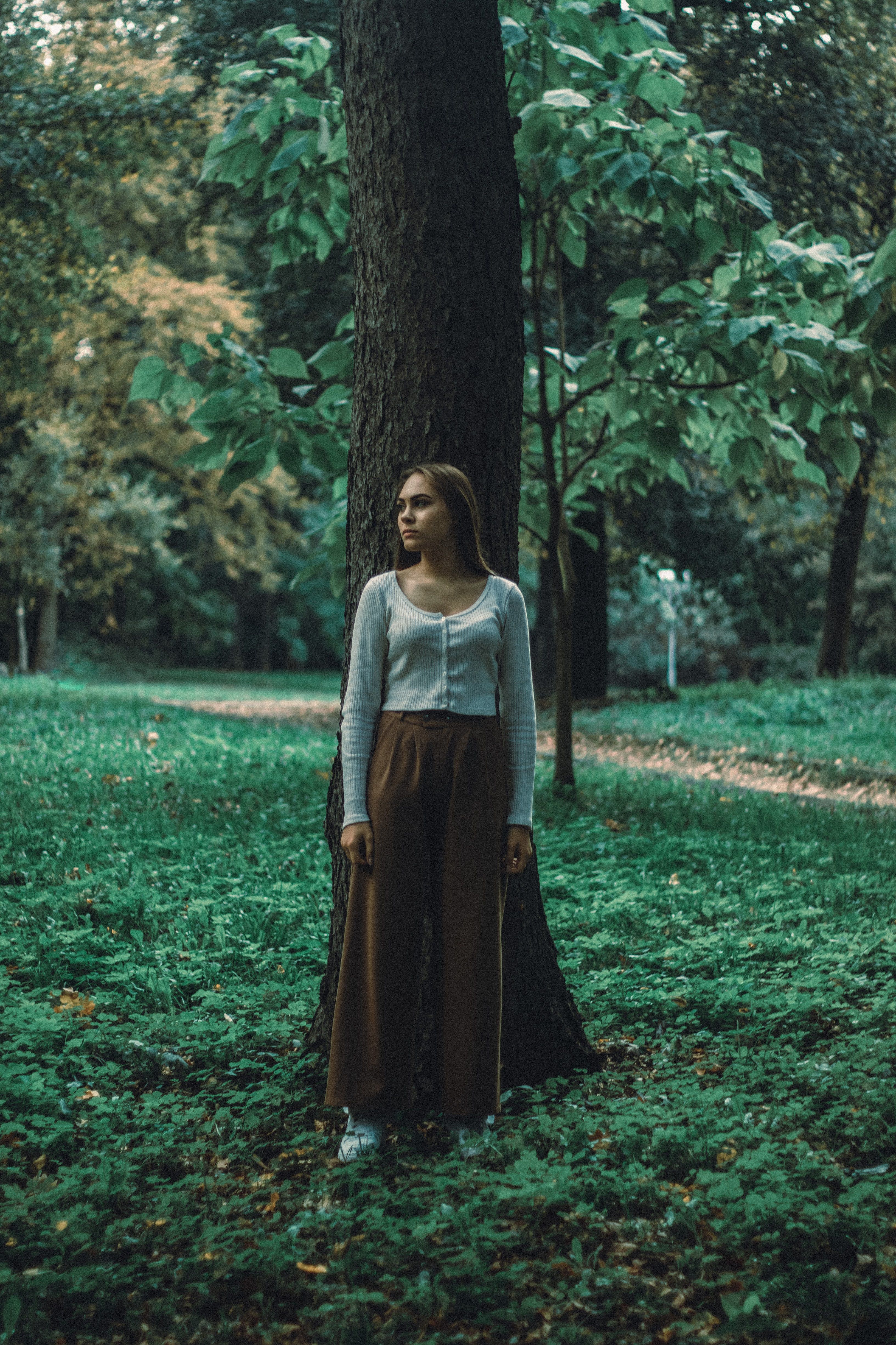 A Woman Standing Beside the Tree · Free Stock Photo
