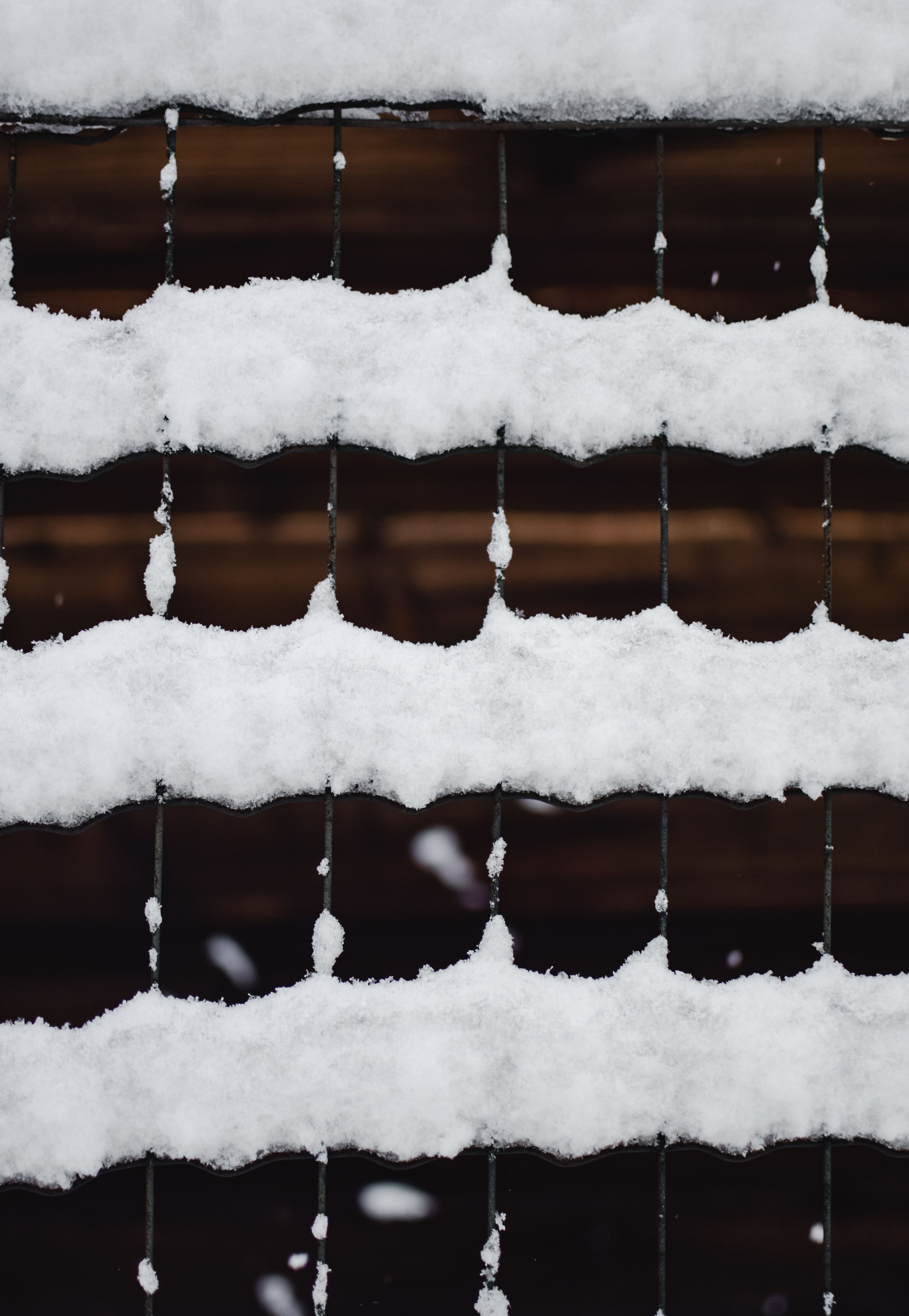 Snow on Fence Bars · Free Stock Photo