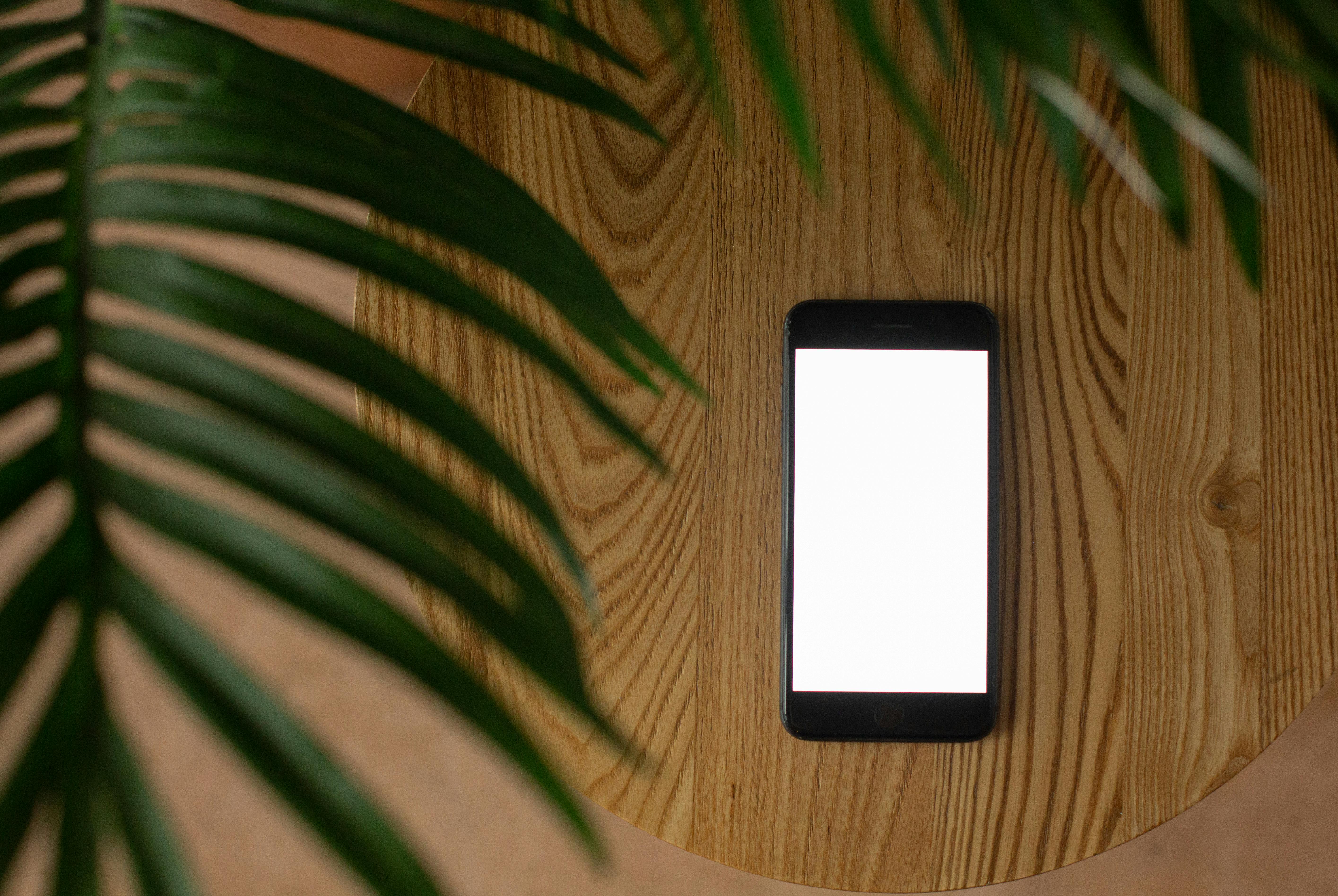 Green Screen Background Set Photos, Download The BEST Free Green Screen ...