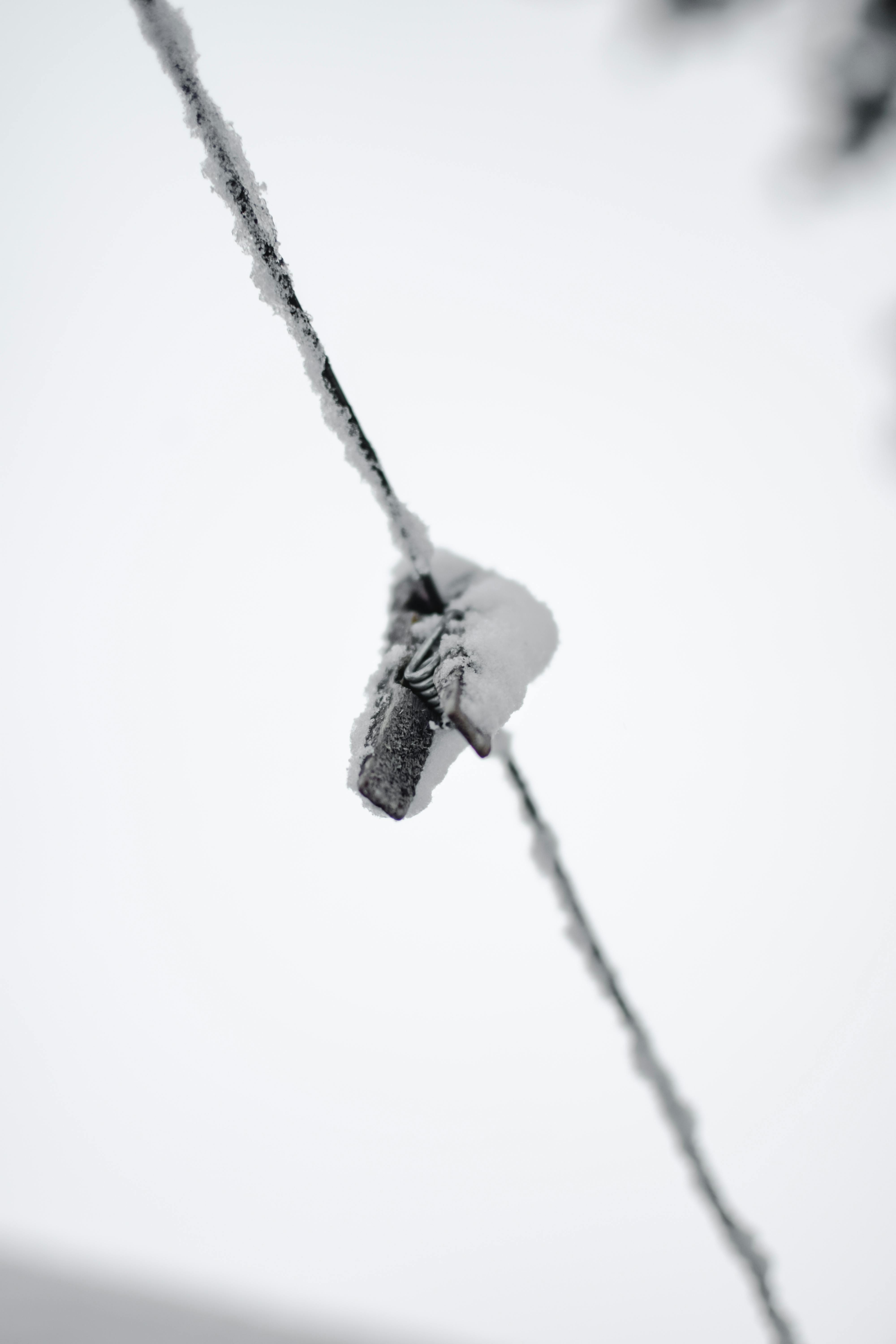 Cold Day Photos, Download The BEST Free Cold Day Stock Photos & HD Images