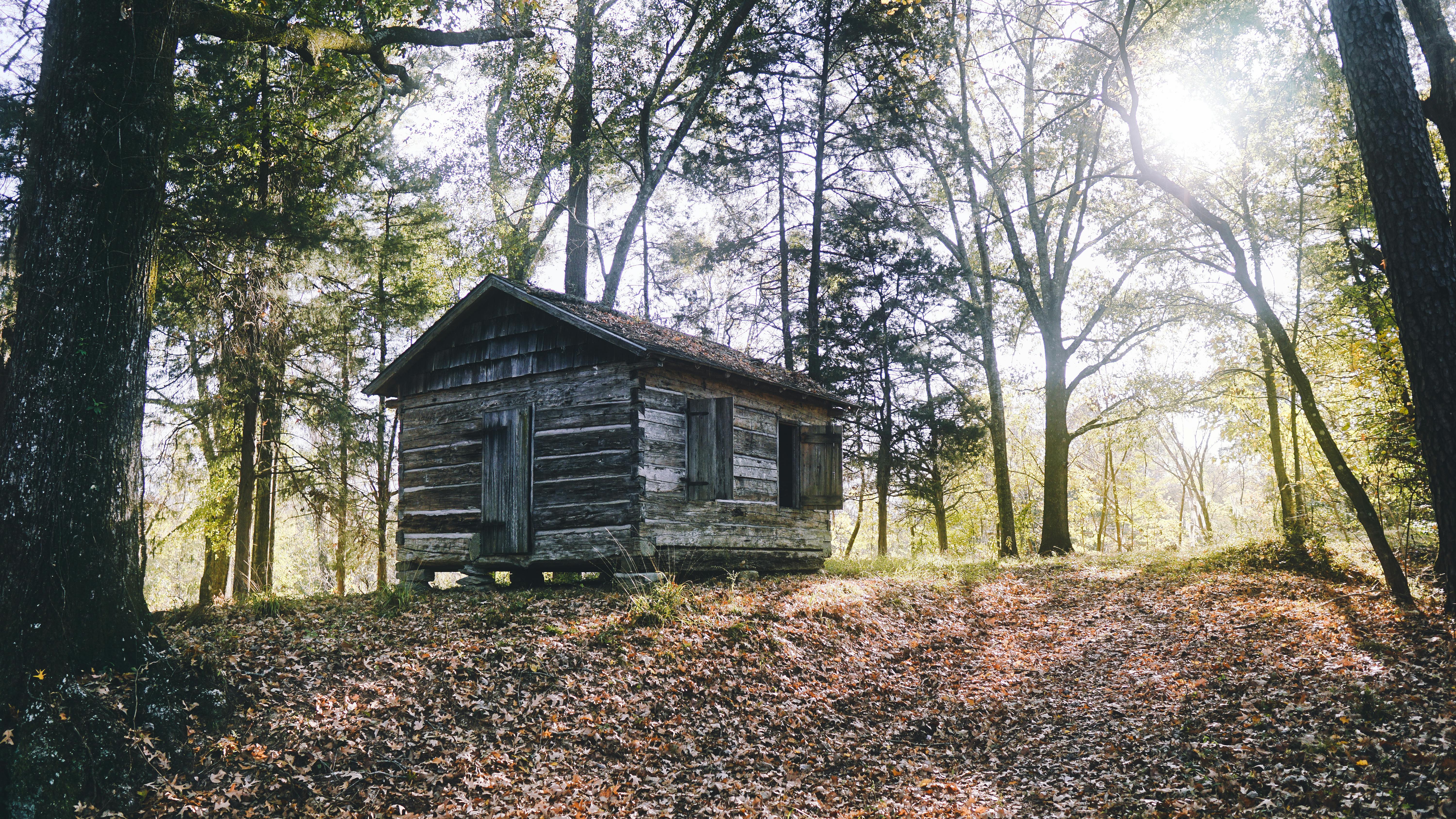 Off Grid Living in Mississippi - Tiny Home State