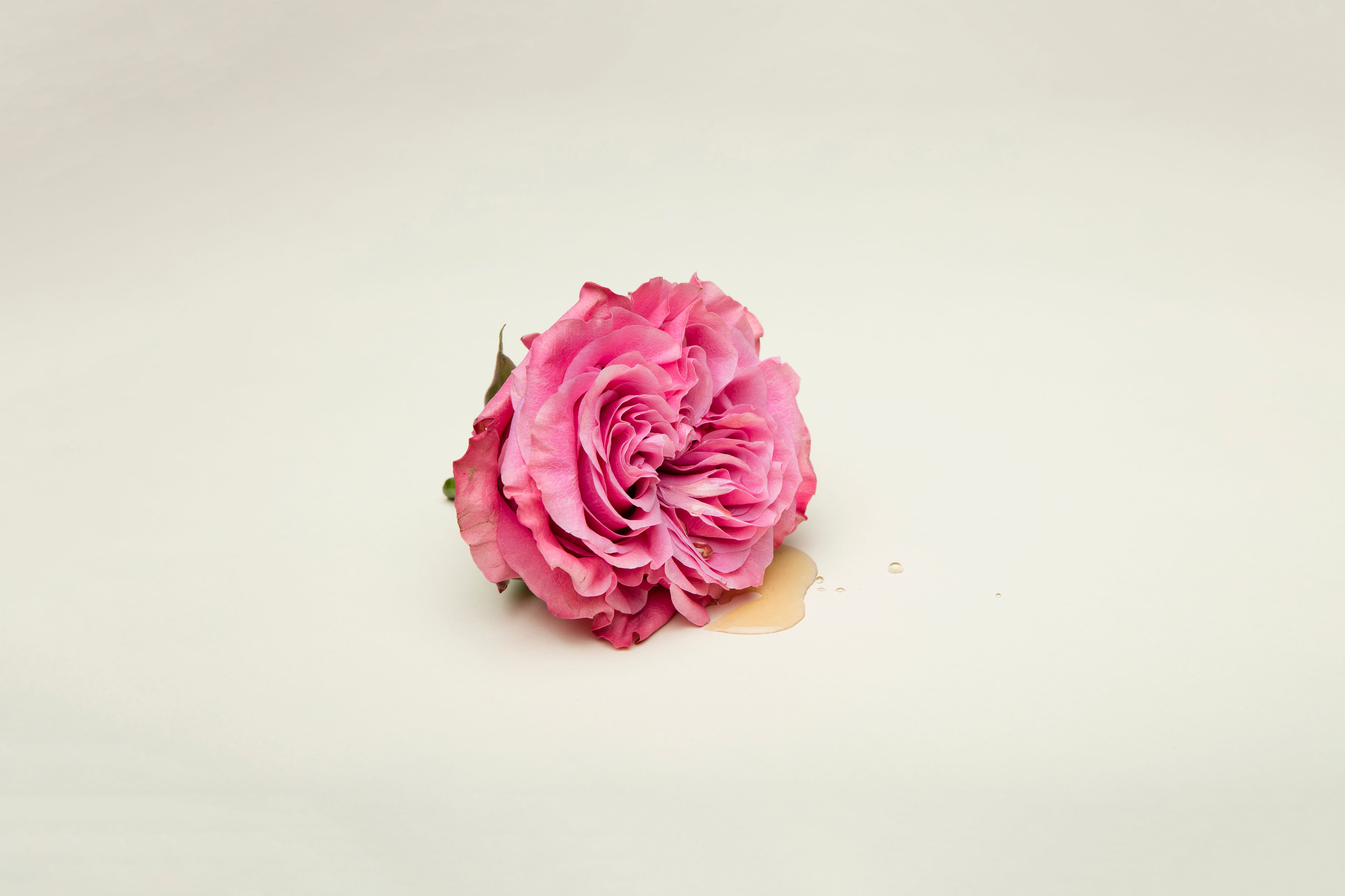 Deon Black - Photography