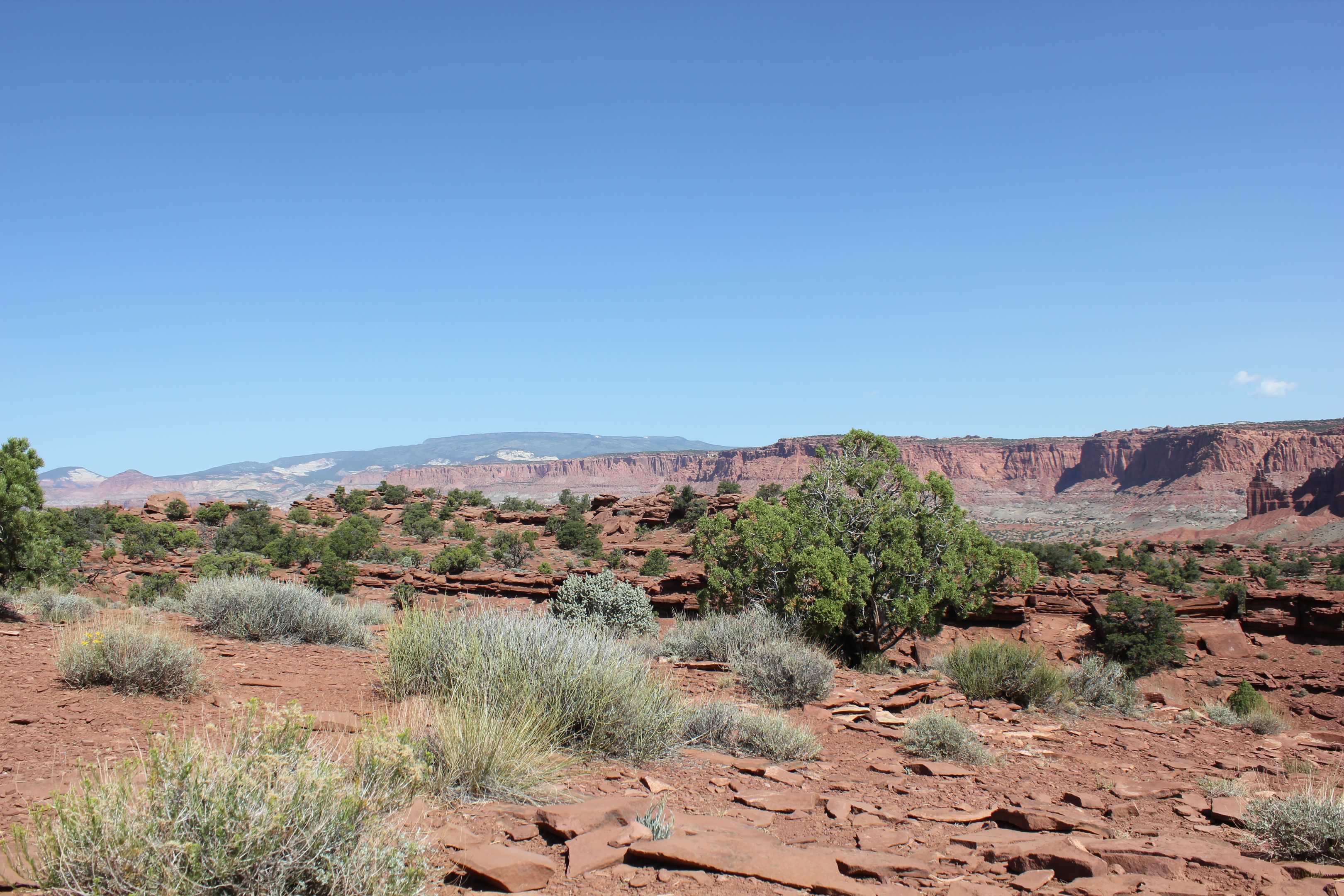 Countryside America Photos, Download The BEST Free Countryside America ...