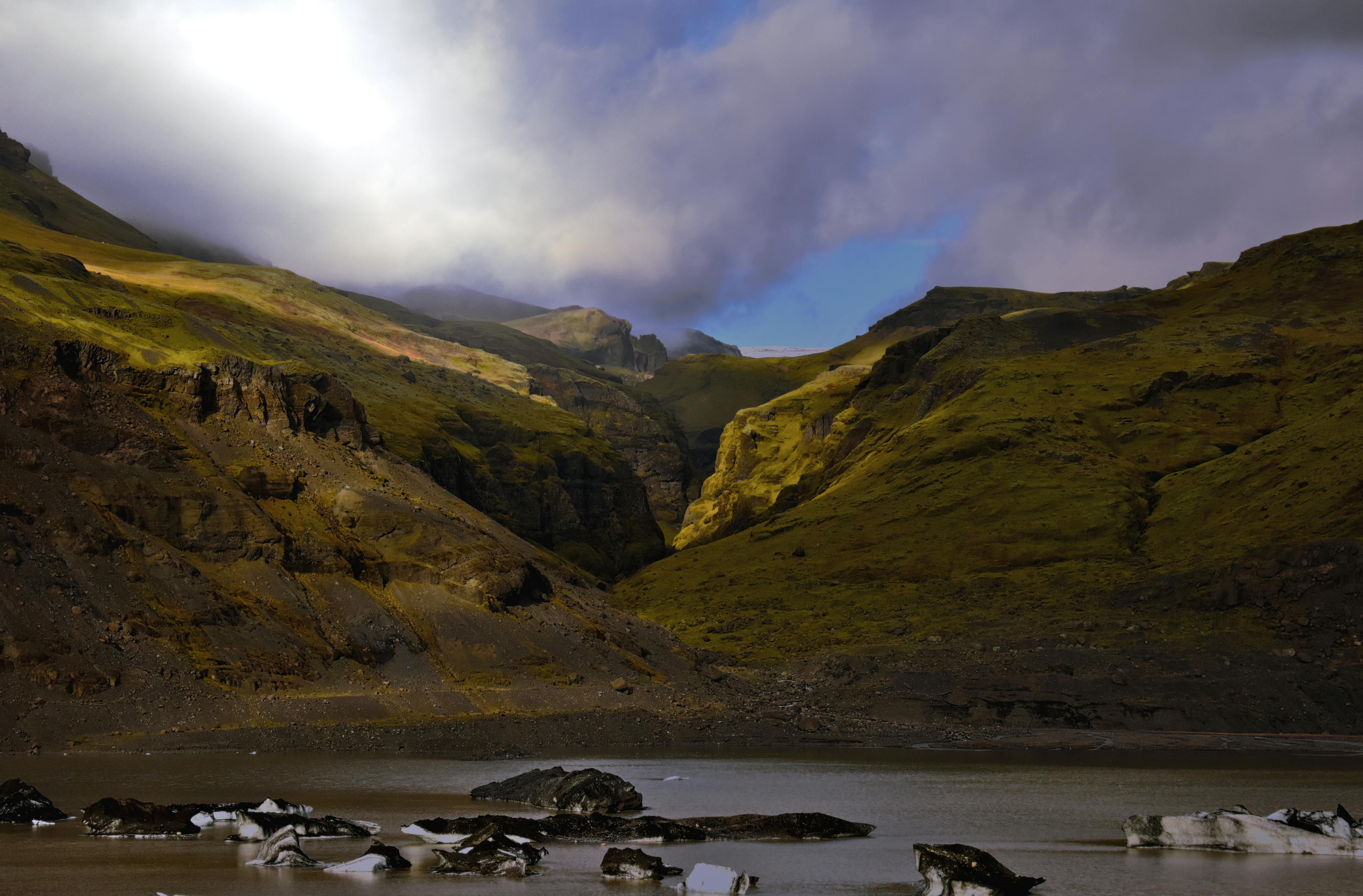 Amelia Pickering - Photography