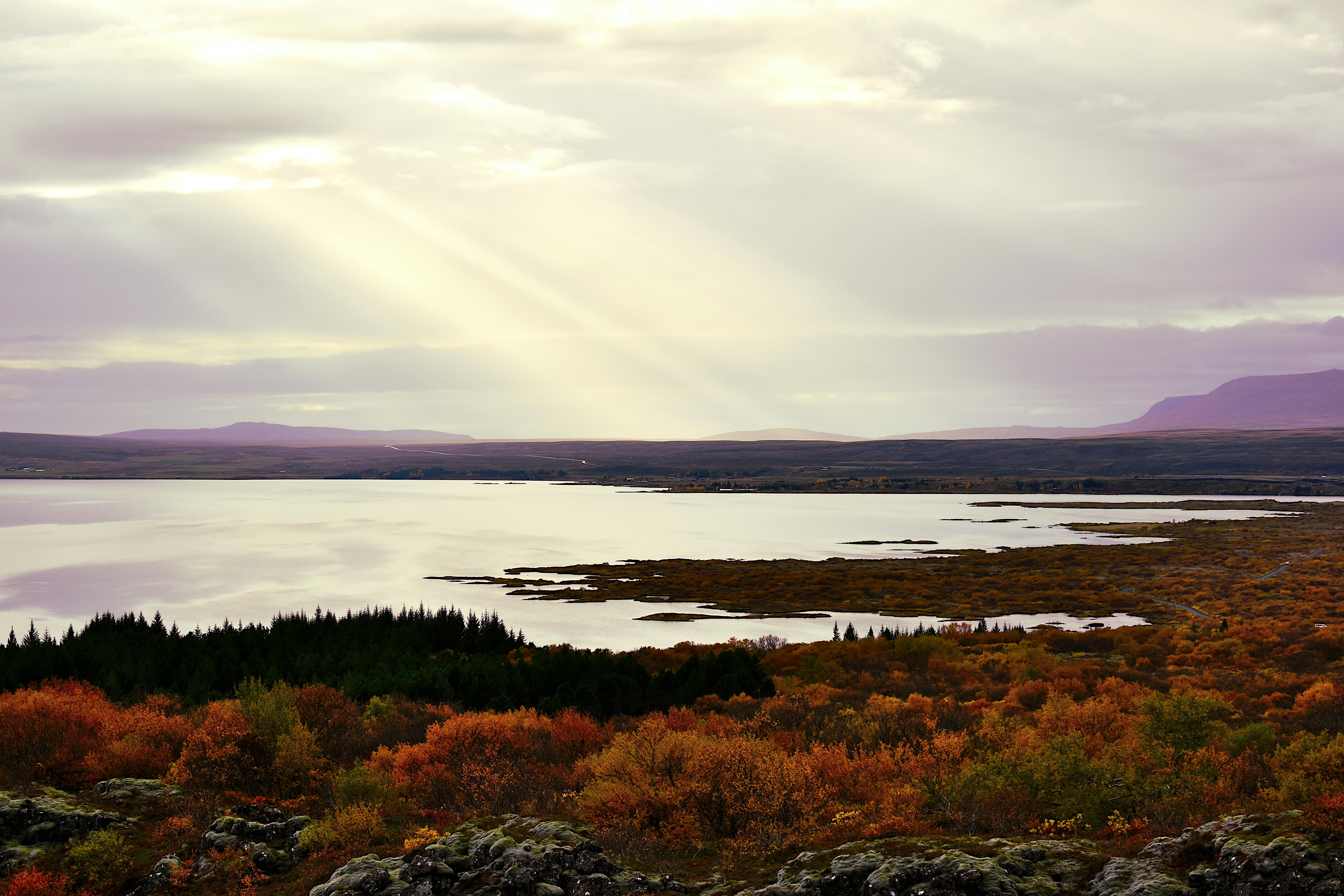 Amelia Pickering - 사진