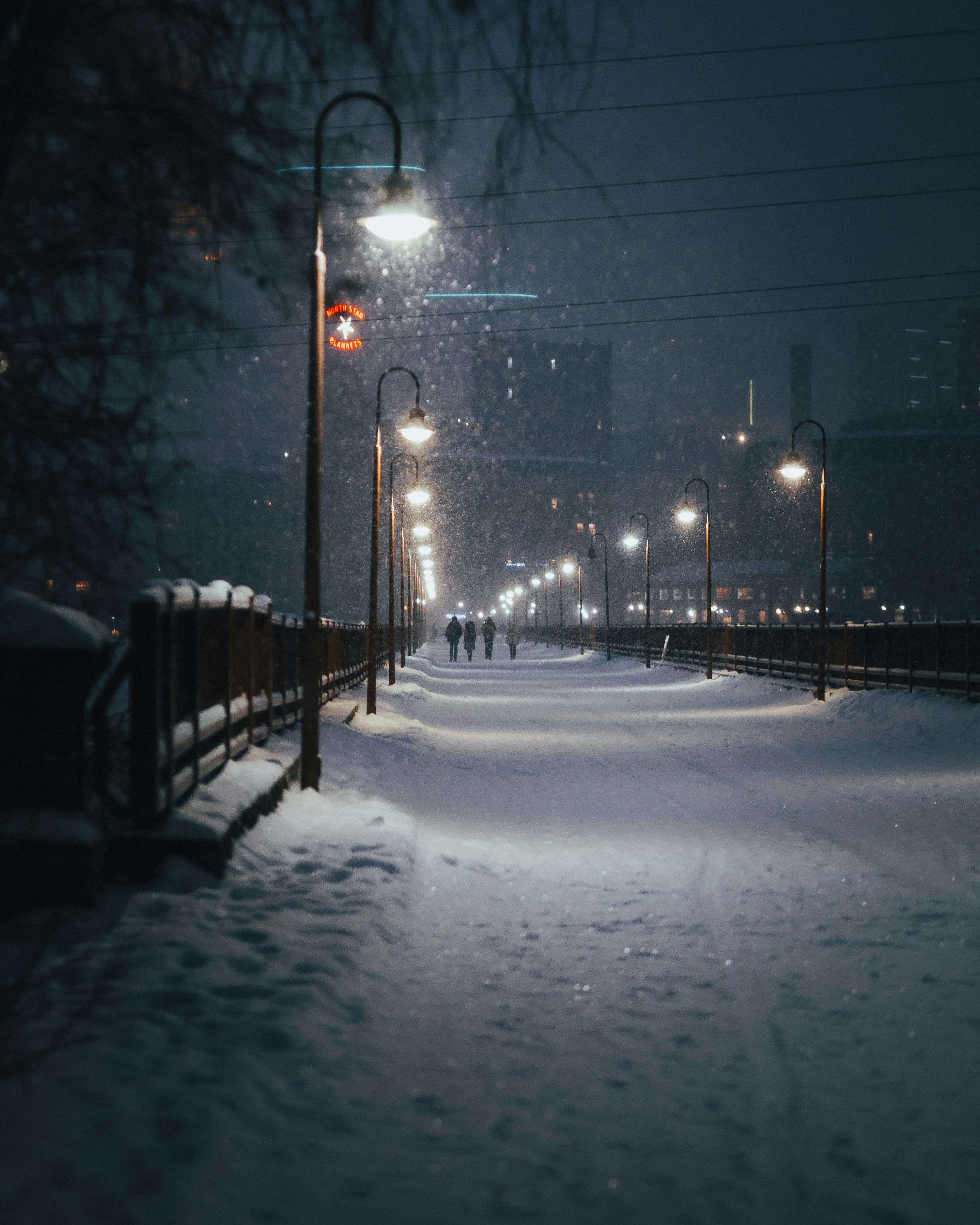 Cold Night · Free Stock Photo