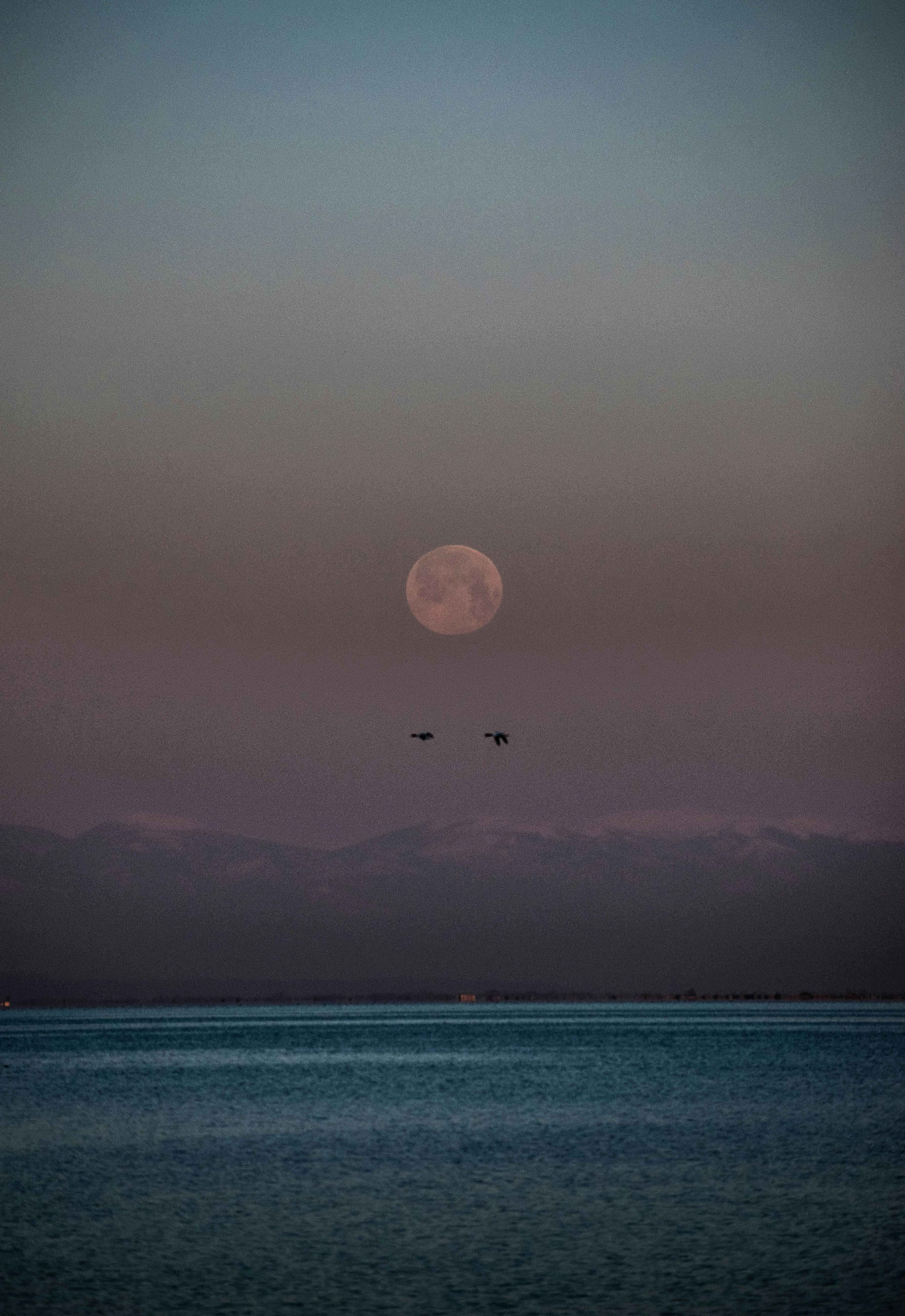 Ocean View During Dawn · Free Stock Photo