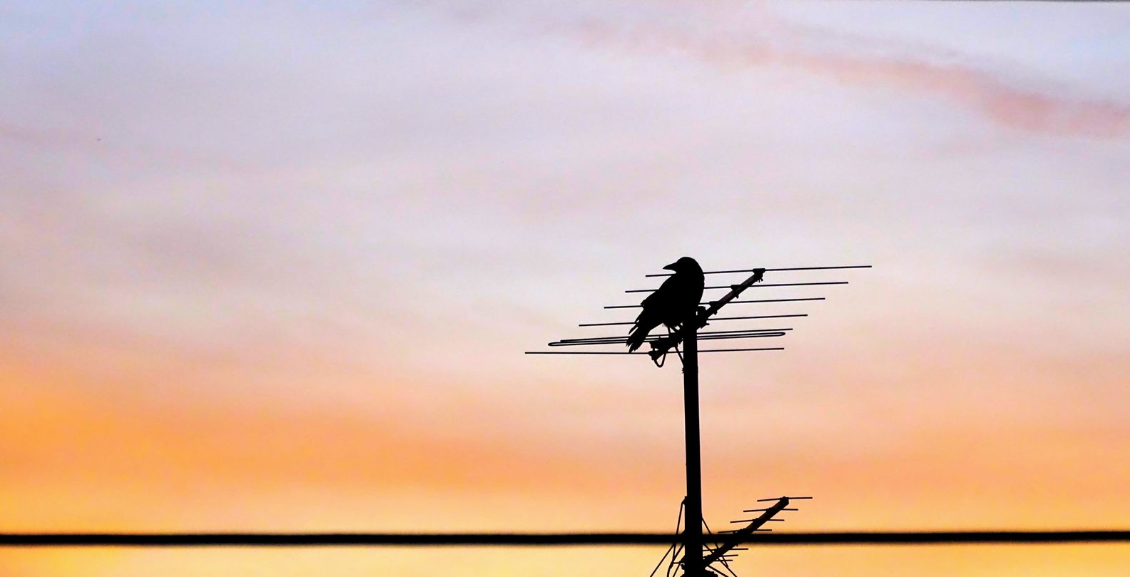 Bell Atlantic Verizon Merger Explained Simply & Clearly