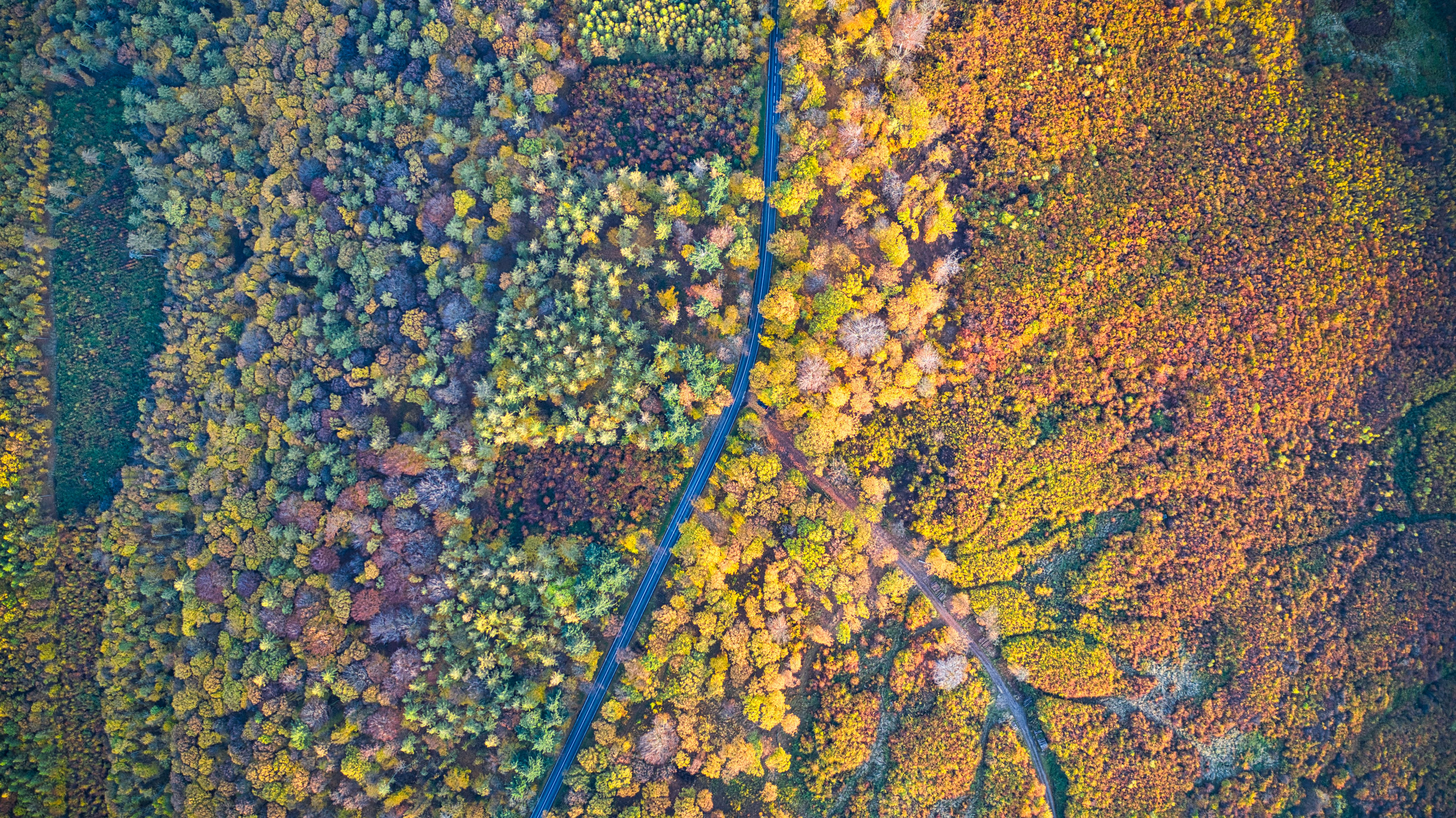 Aerial View of Colorful Trees During Autumn Season · Free Stock Photo
