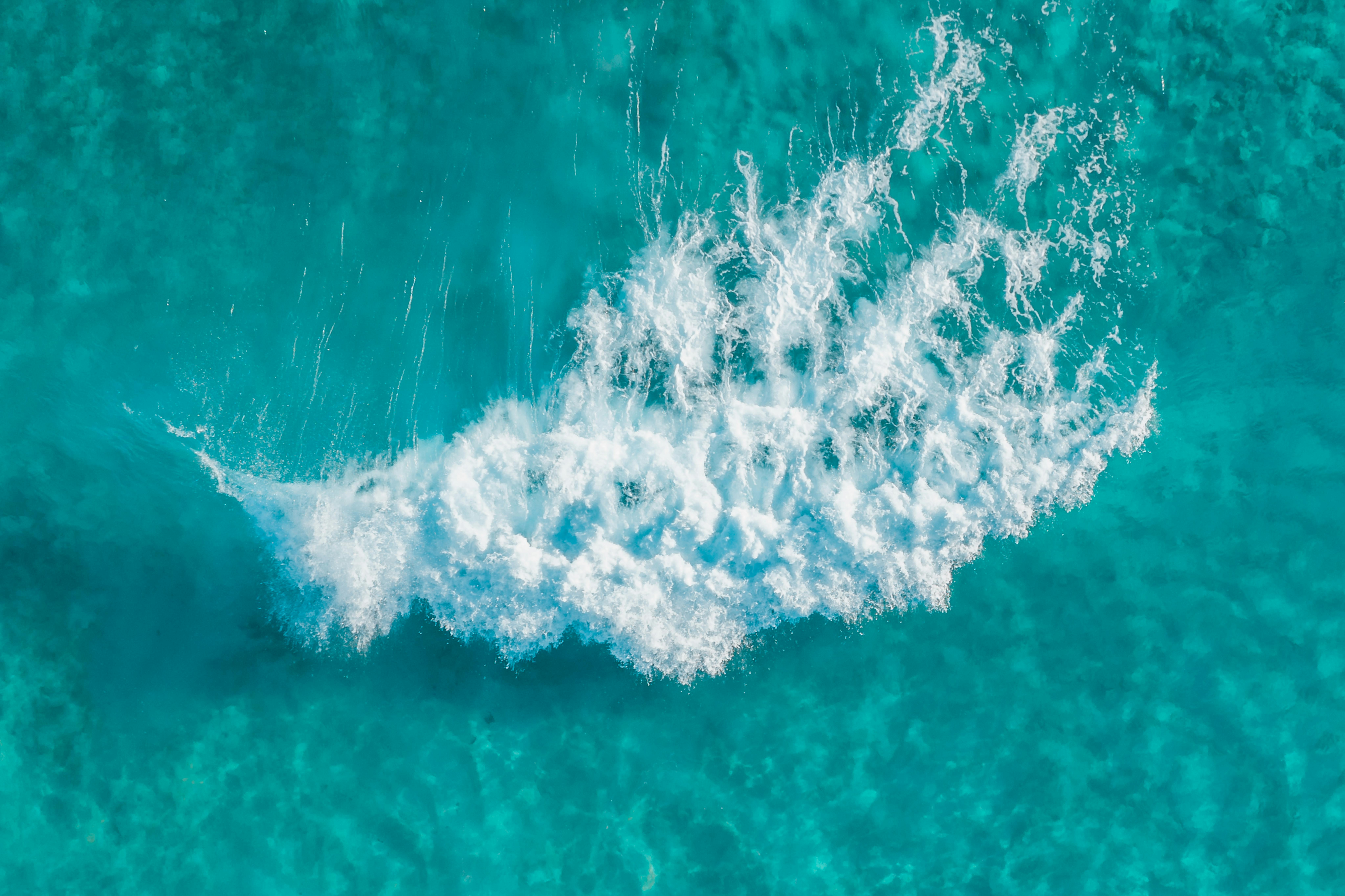 Foto profissional gratuita de água, cor, espuma do mar
