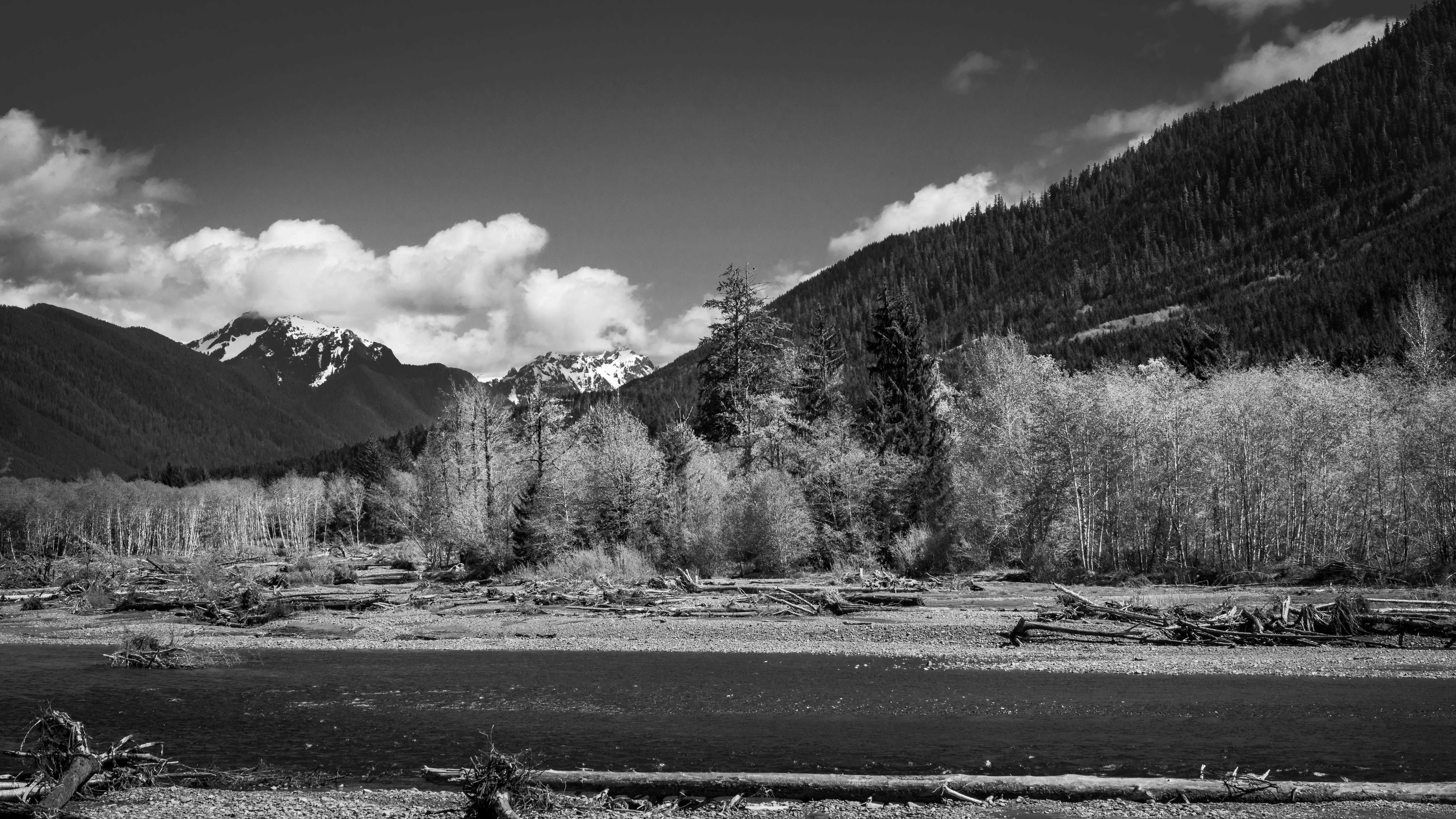 River Forks Photos, Download The BEST Free River Forks Stock Photos ...