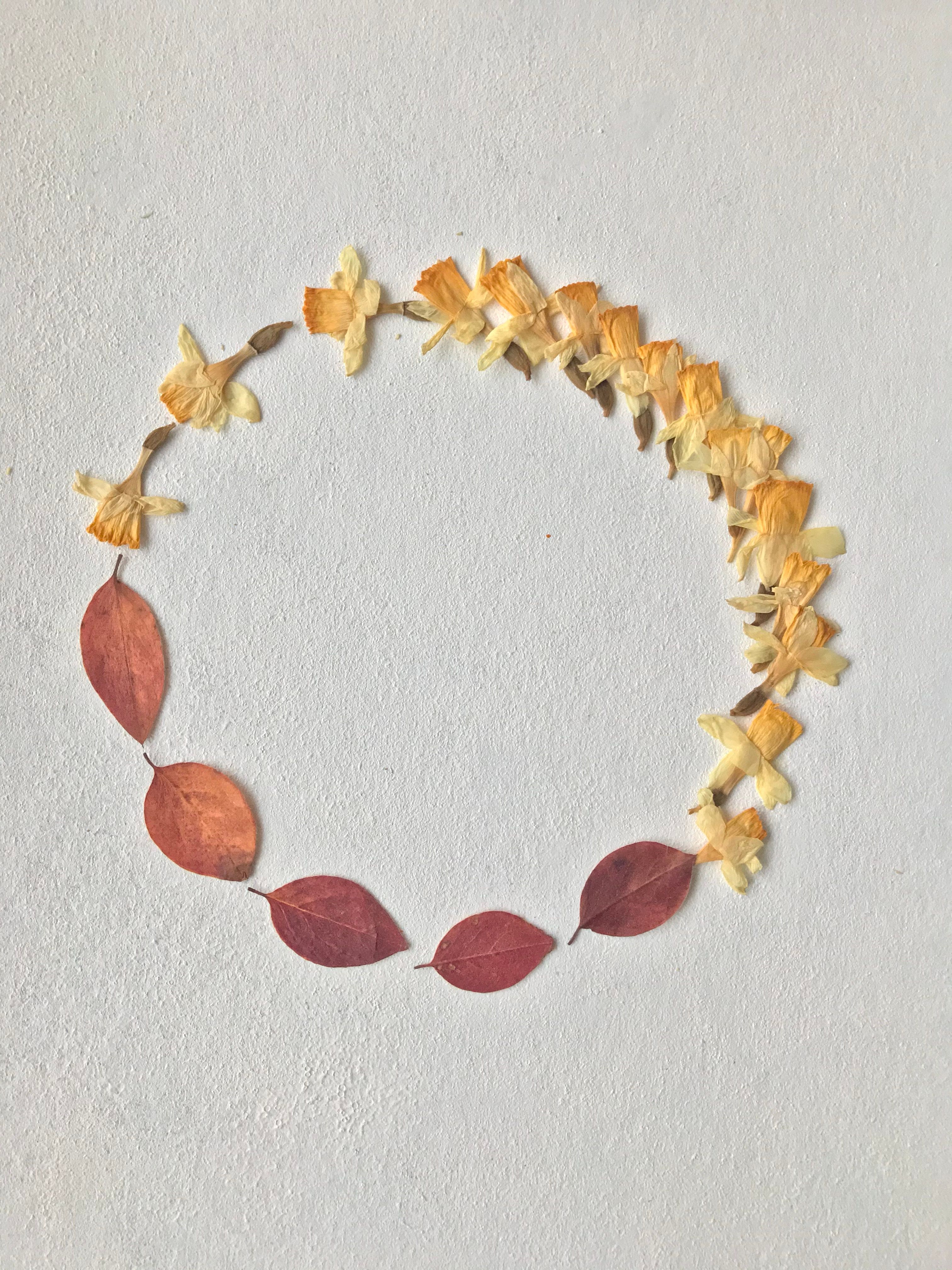 Frame made from dried flowers and leaves · Free Stock Photo