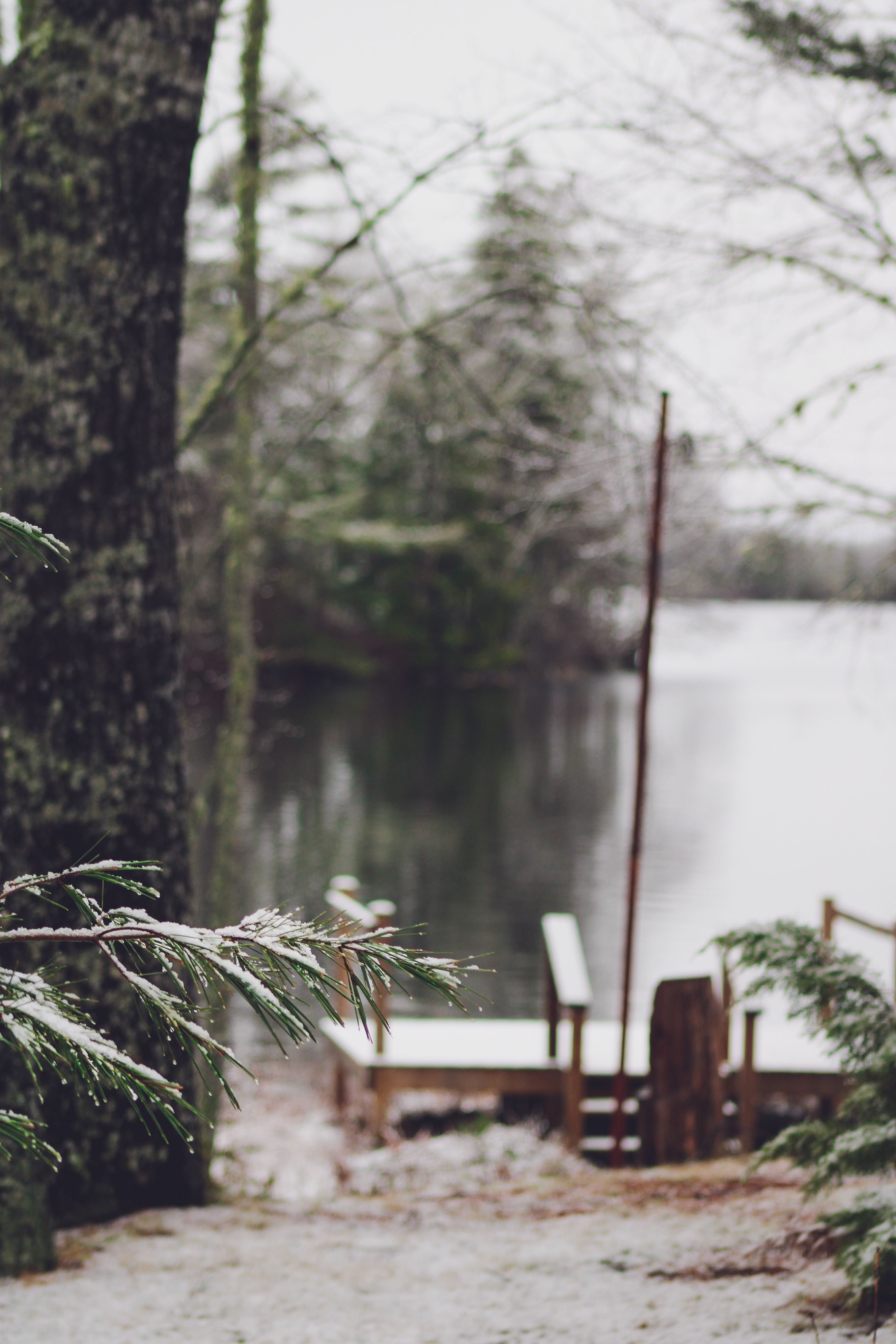 Wooden Platform on Lakeside · Free Stock Photo