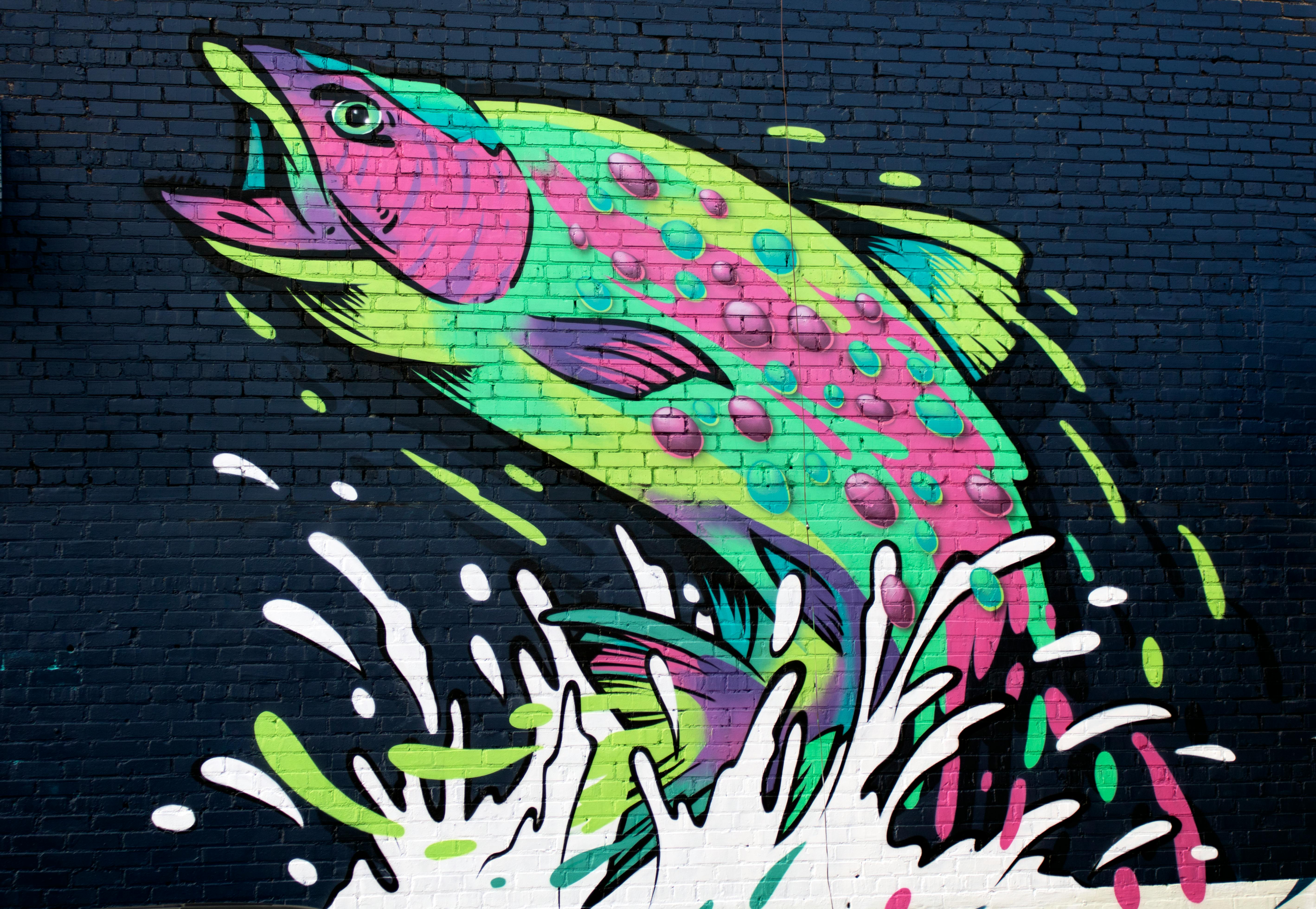 Grafitti with a Colorful Fish · Free Stock Photo