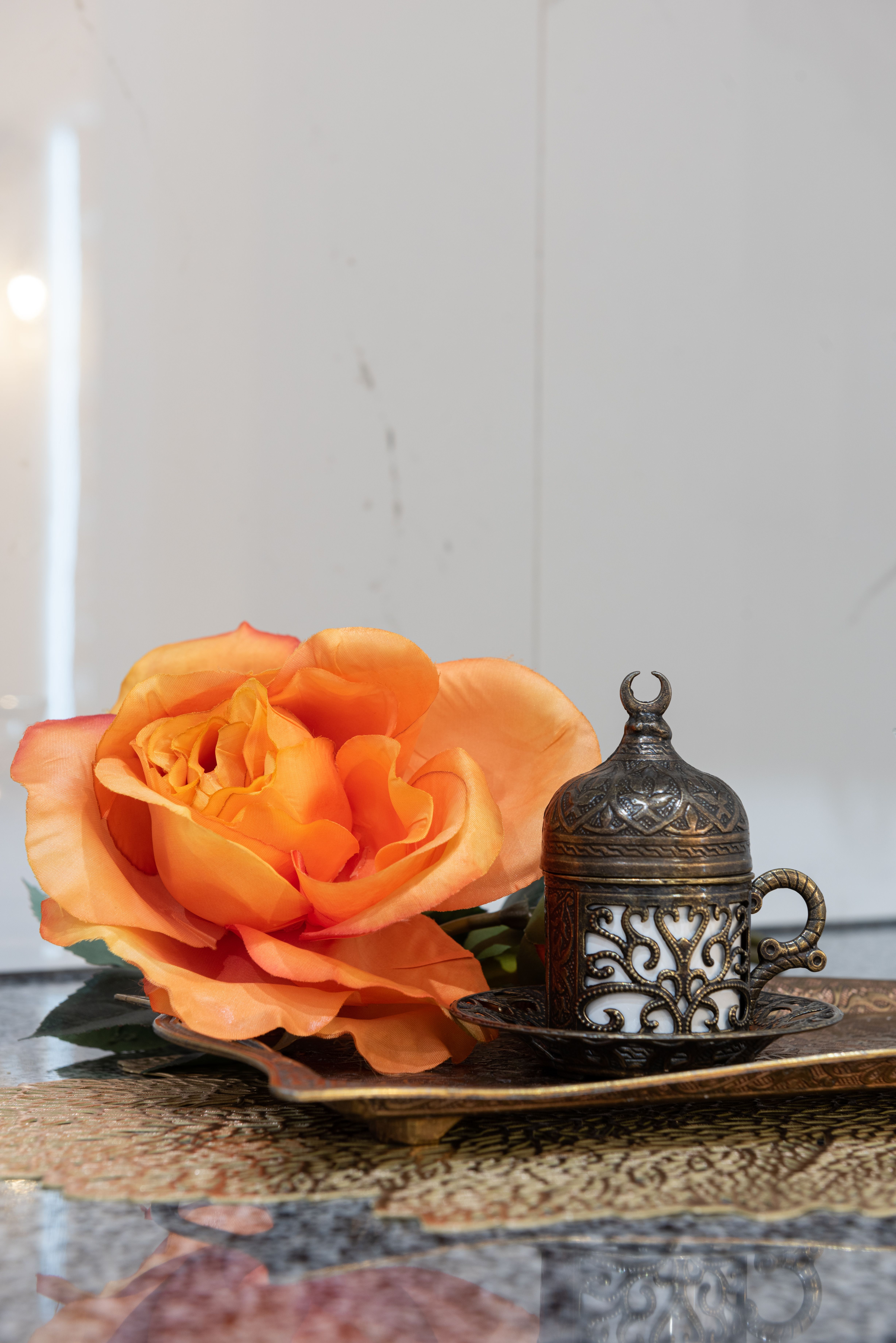 Rose In Pot Photos, Download The BEST Free Rose In Pot Stock Photos ...