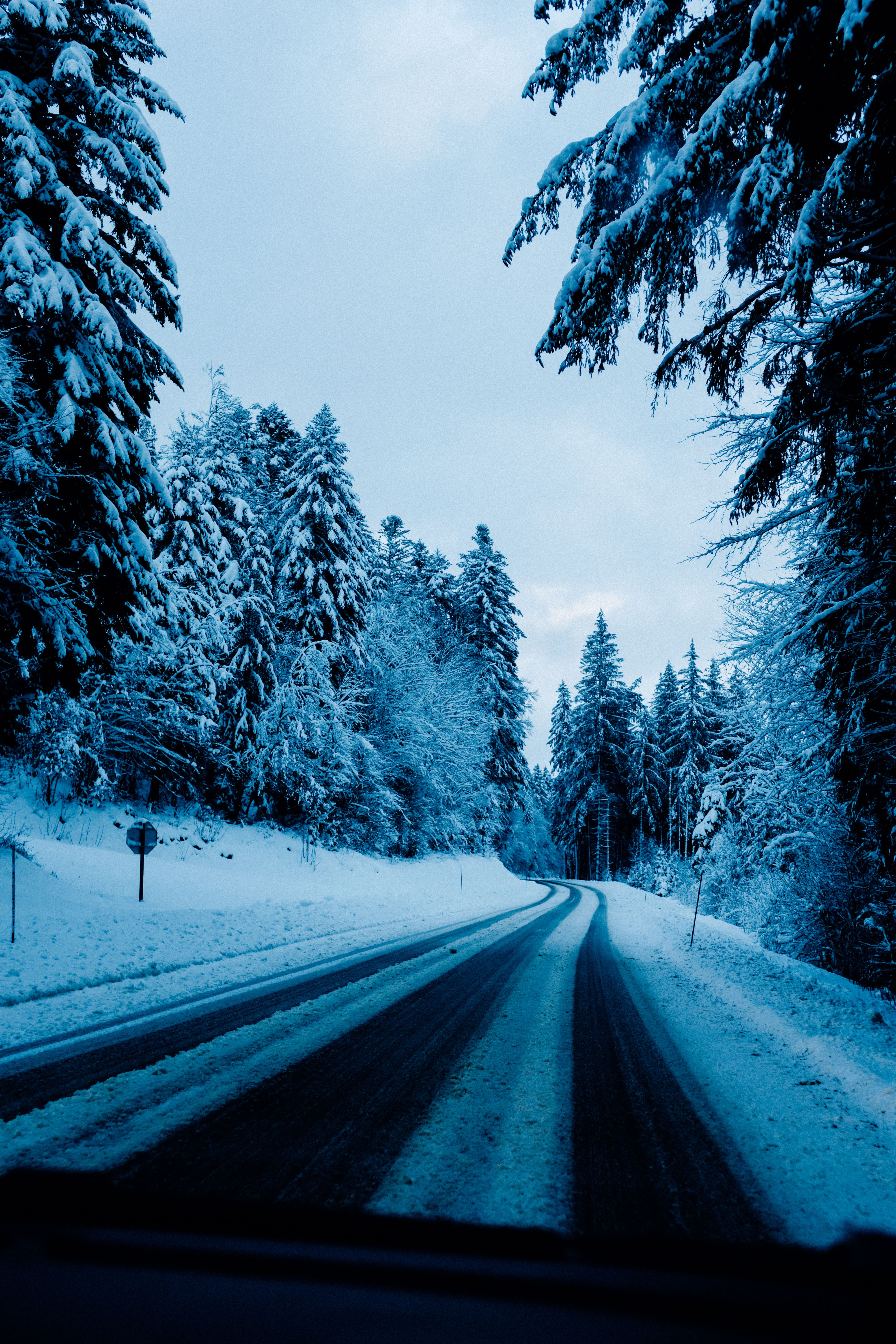 Through windshield snowy road among frozen forest · Free Stock Photo