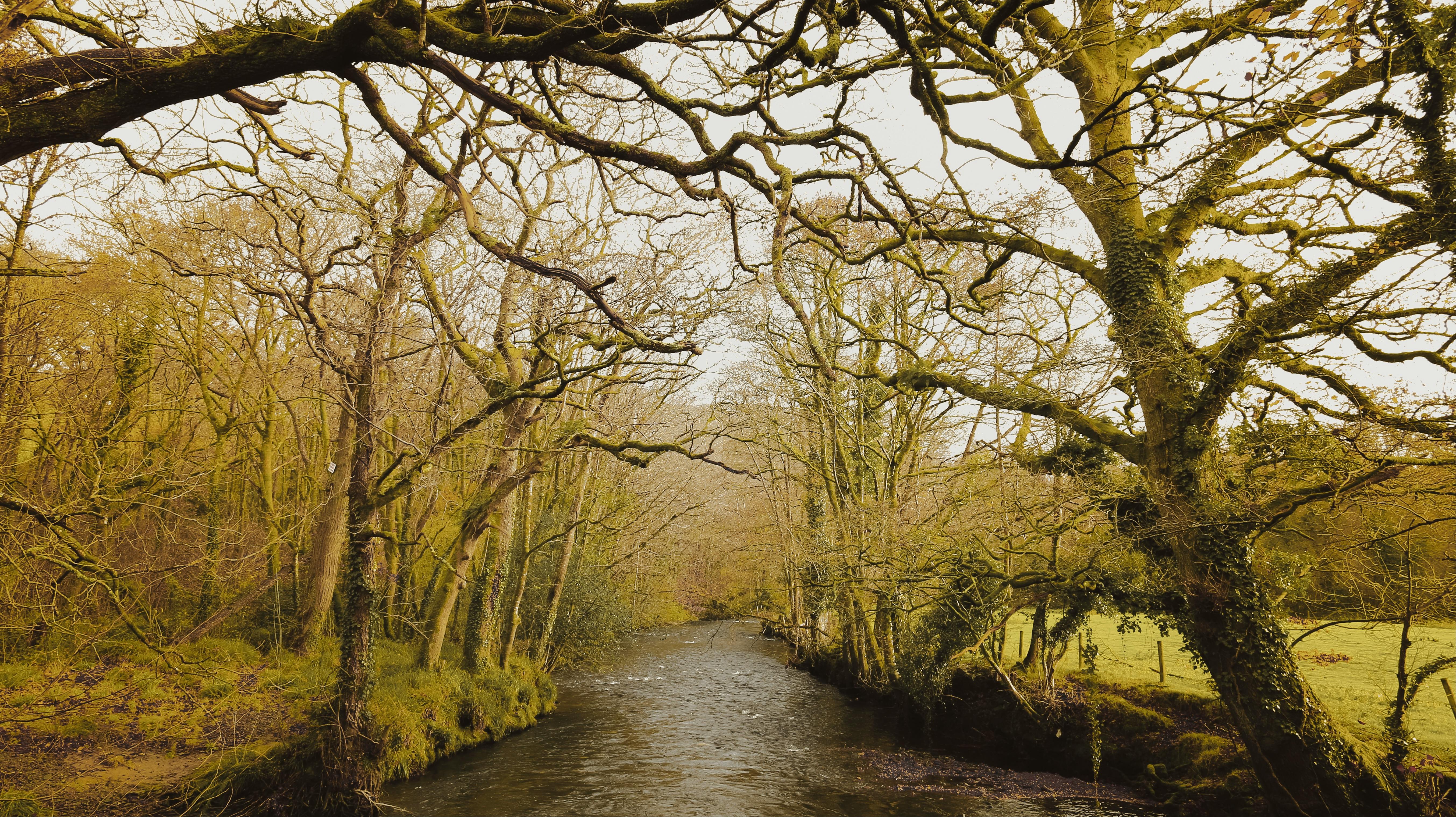 10,000+ Best Gloomy Skies Photos · 100% Free Download · Pexels Stock Photos