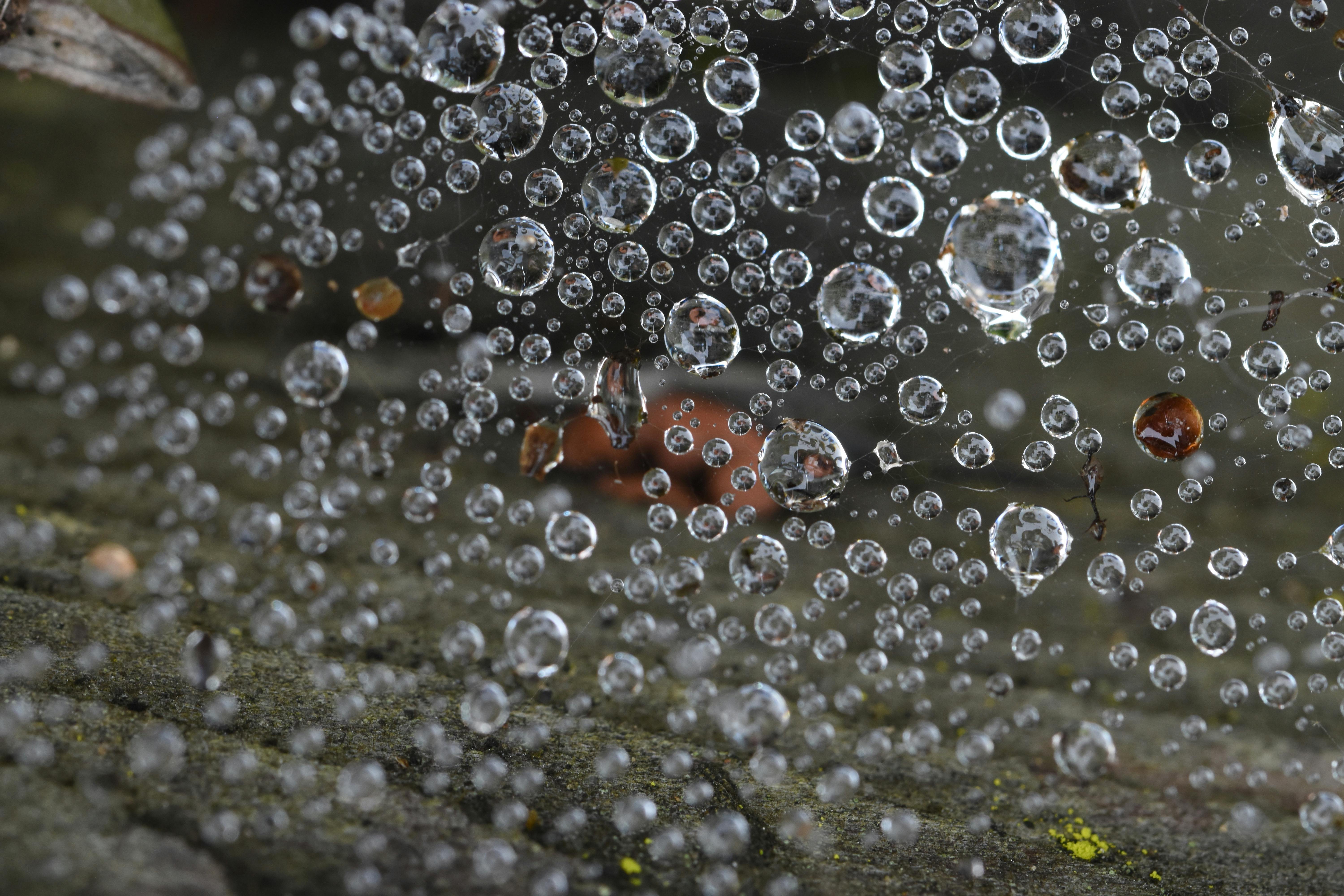 Water 10 Photos & Videos Collected by Bibi Tiphane