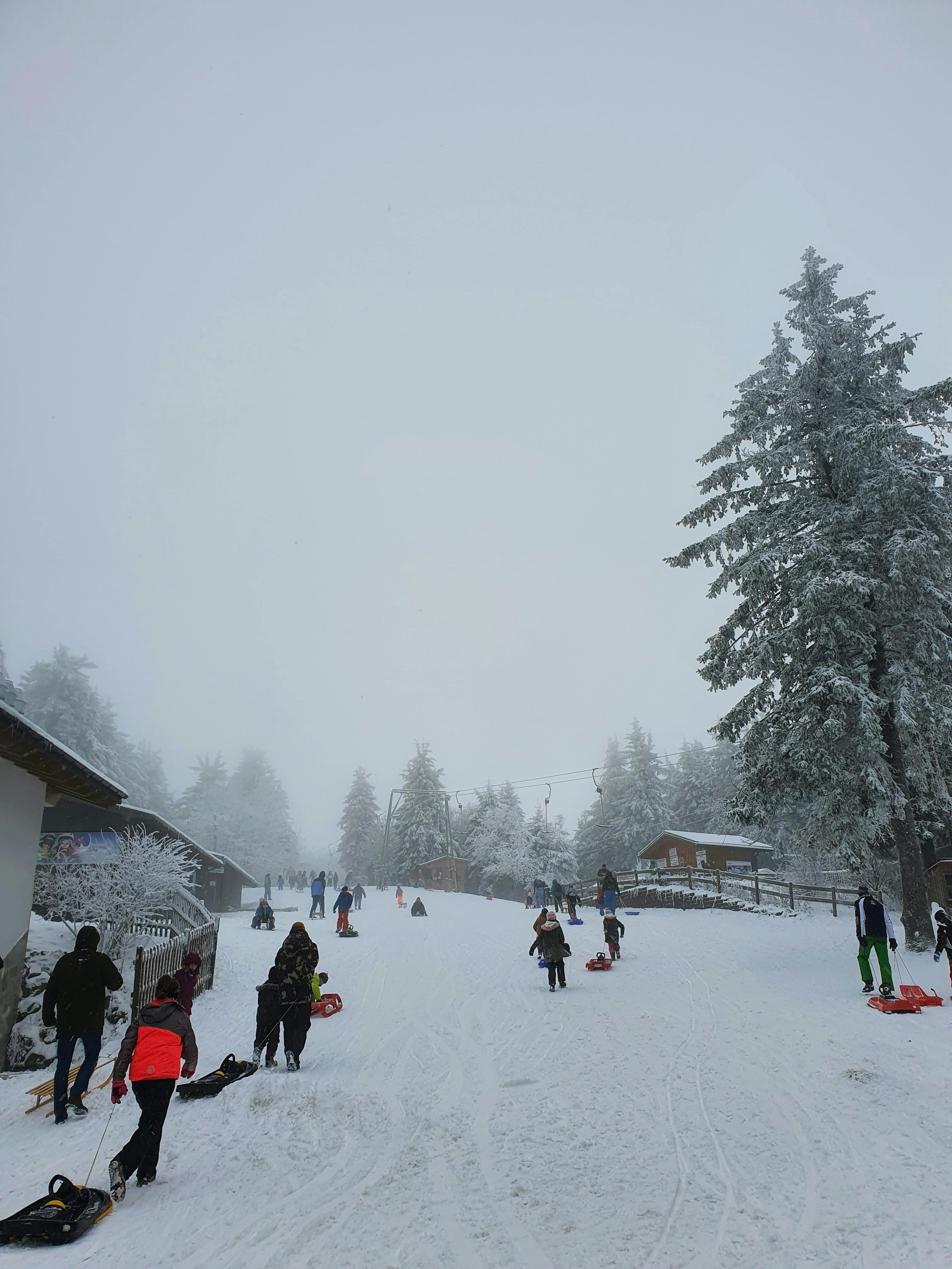 Sledding Photos, Download The BEST Free Sledding Stock Photos & HD Images