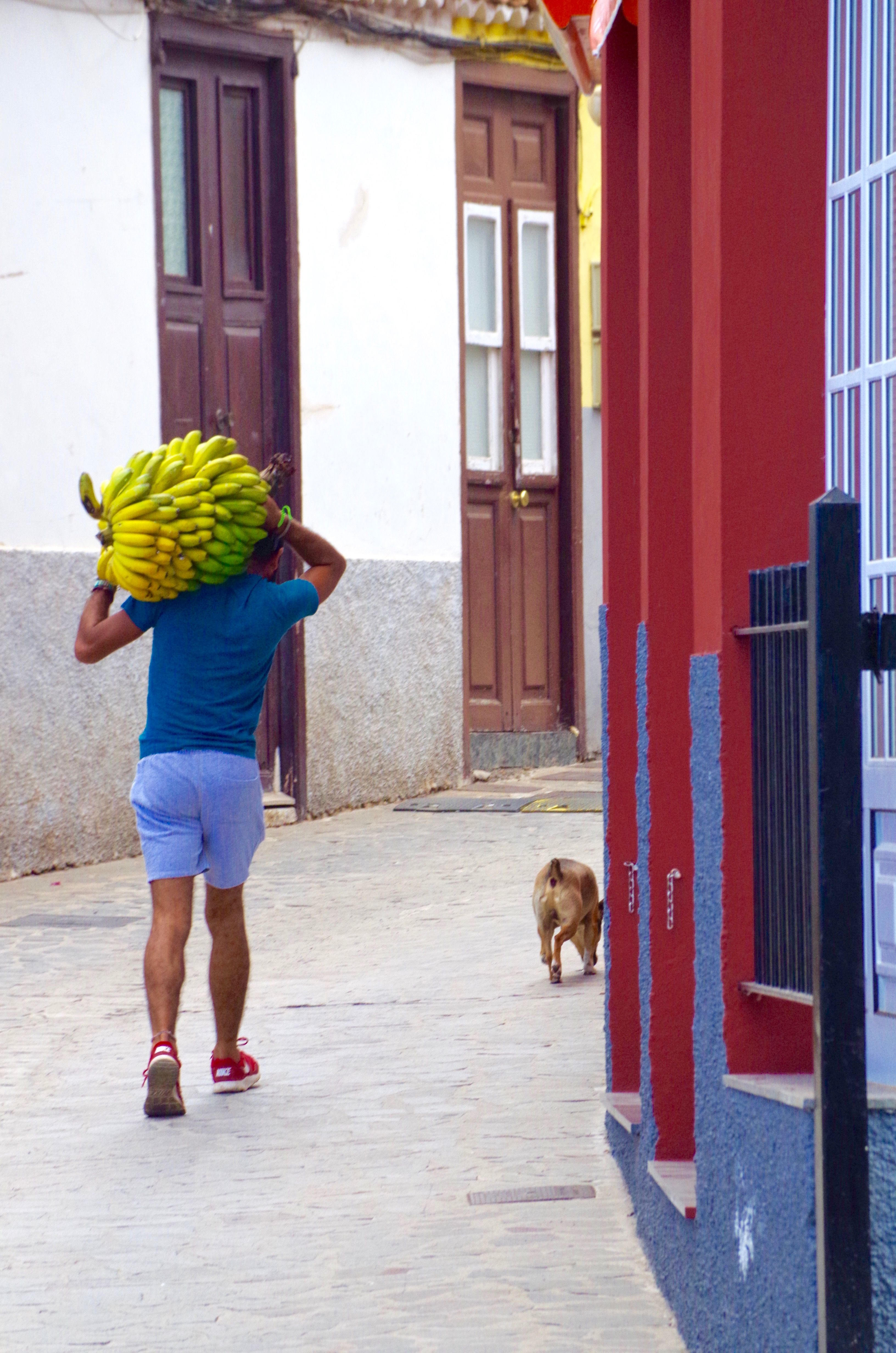 Man Carrying Bunch of Bananas on His Shoulder · Free Stock Photo