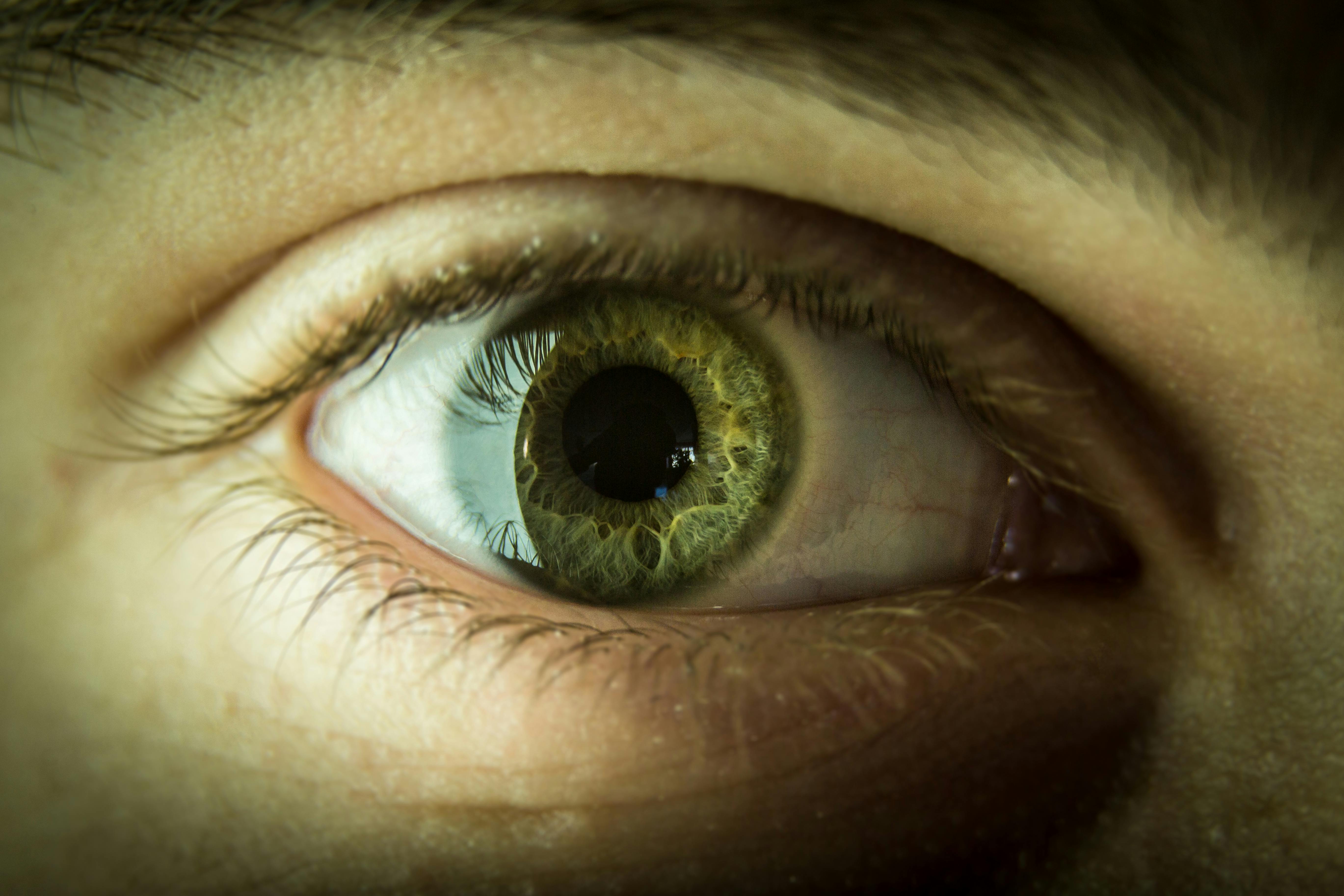Close Up of Human Eye · Free Stock Photo