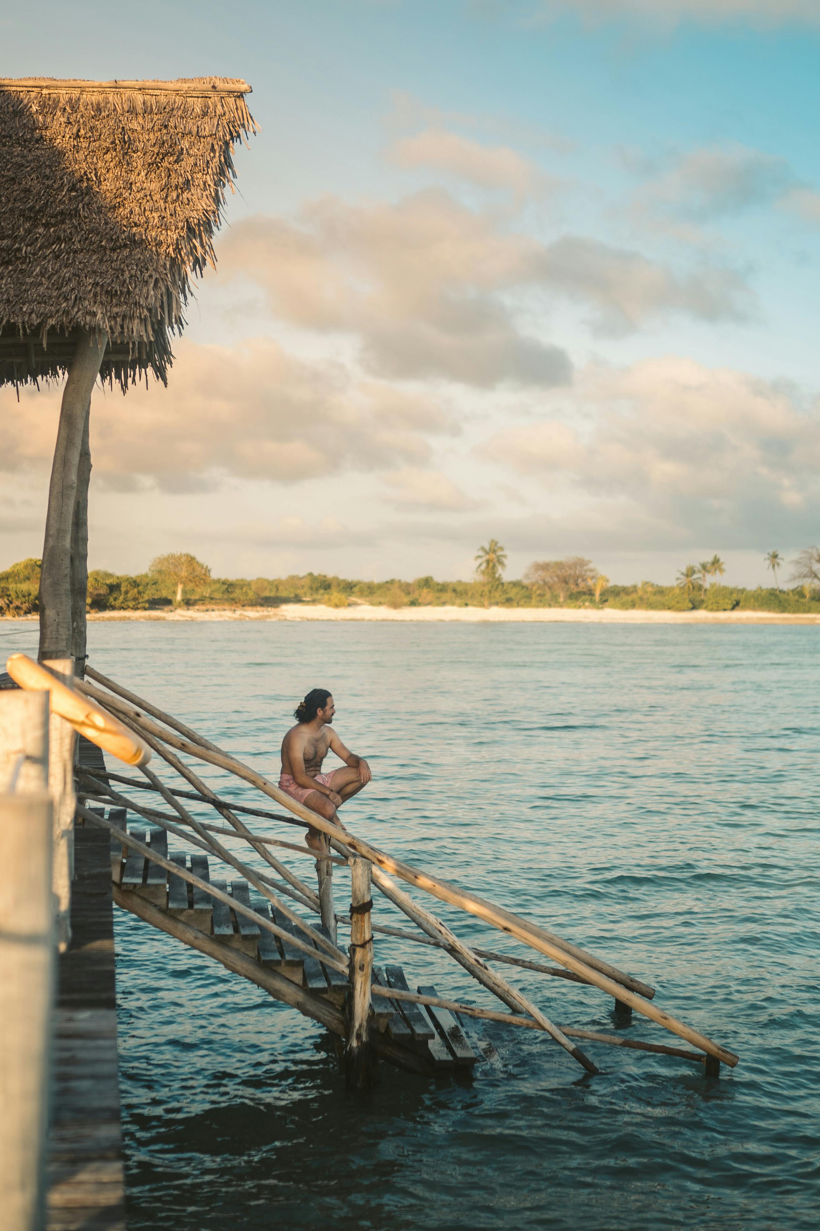 Man Looking At A View of An Island · Free Stock Photo