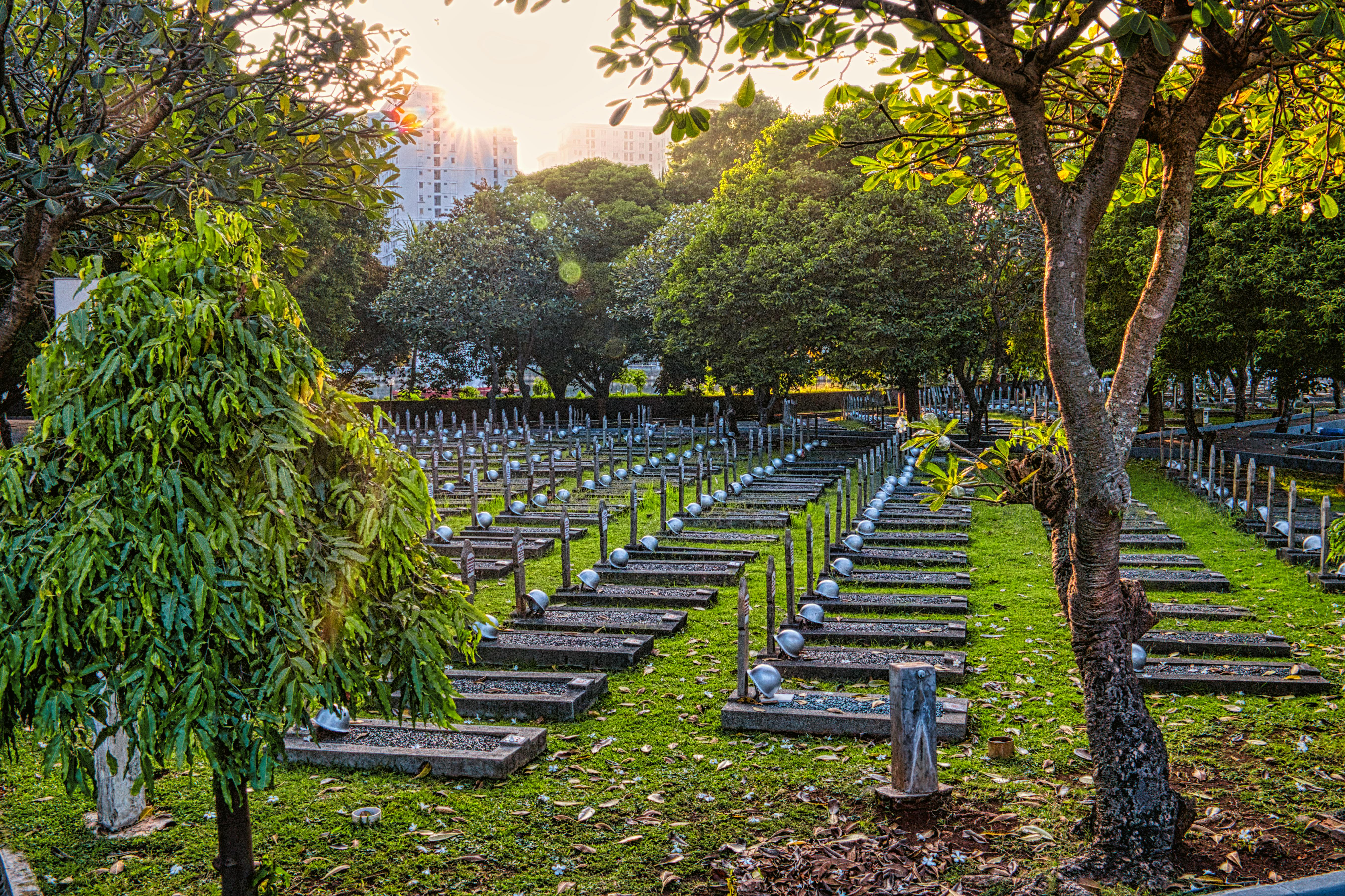 A Walkway Inside the Cemetery · Free Stock Photo
