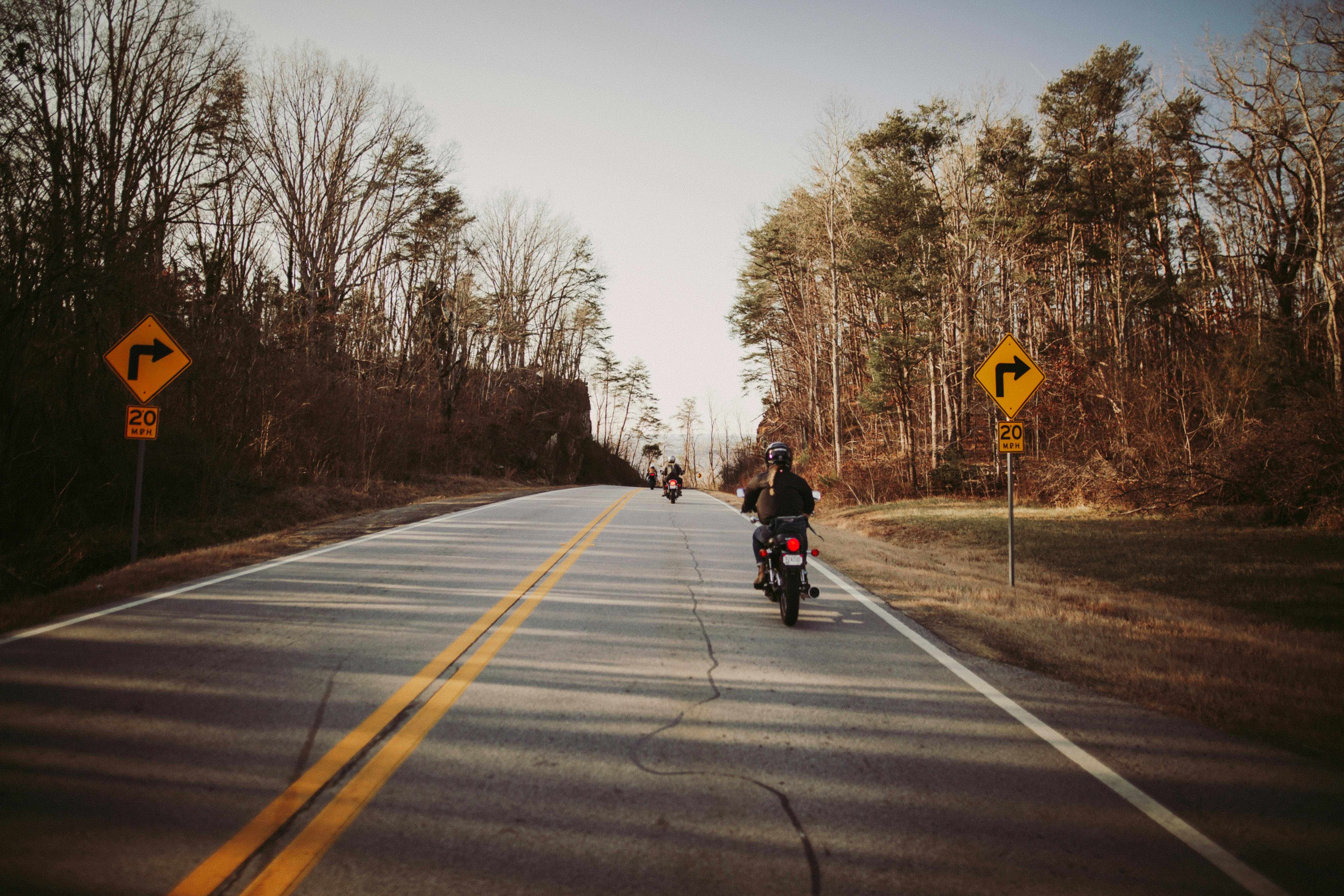 Anonymous bikers riding motorcycles on highway amidst autumn forest ...