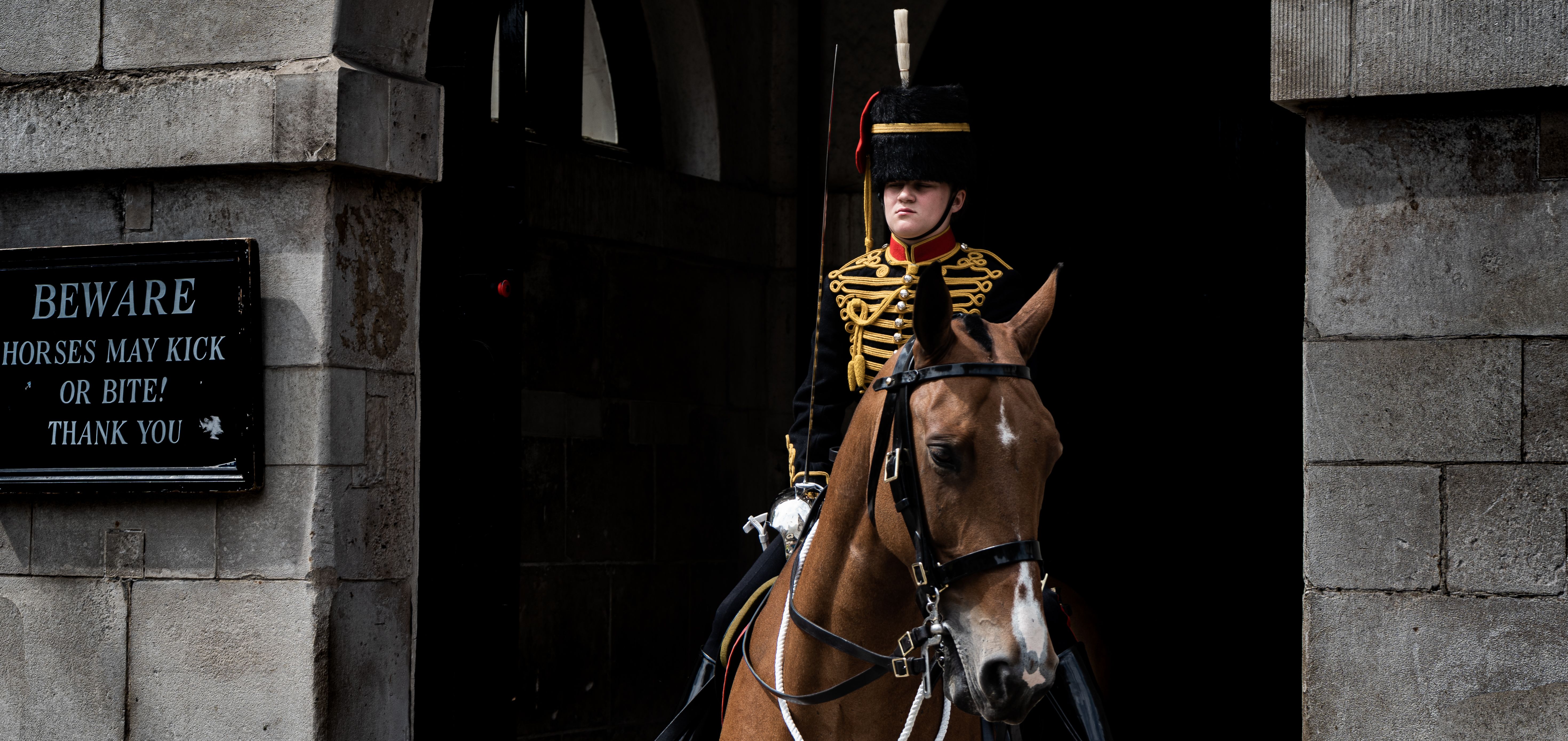 Guard of the Royal Palace Riding on Brown Horse · Free Stock Photo