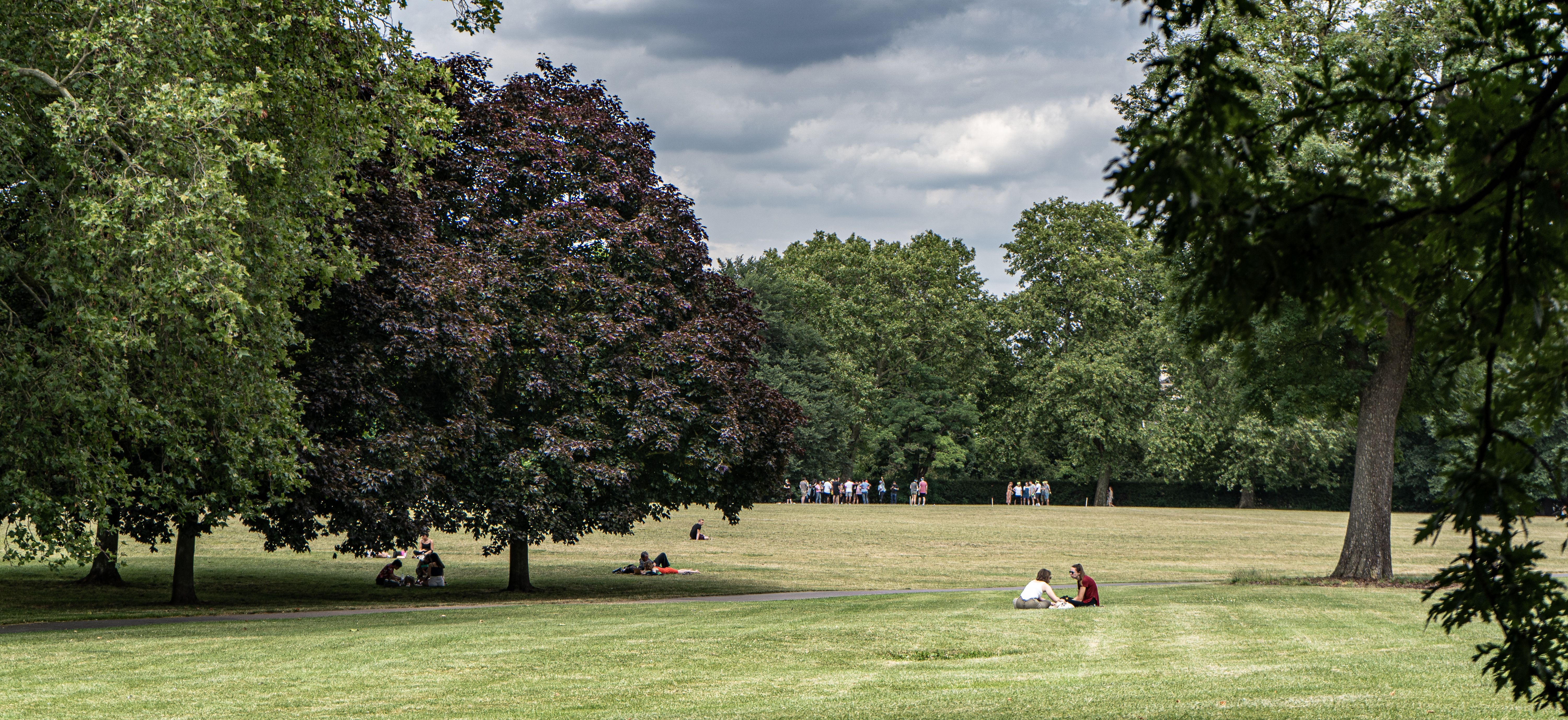 People in a Park · Free Stock Photo