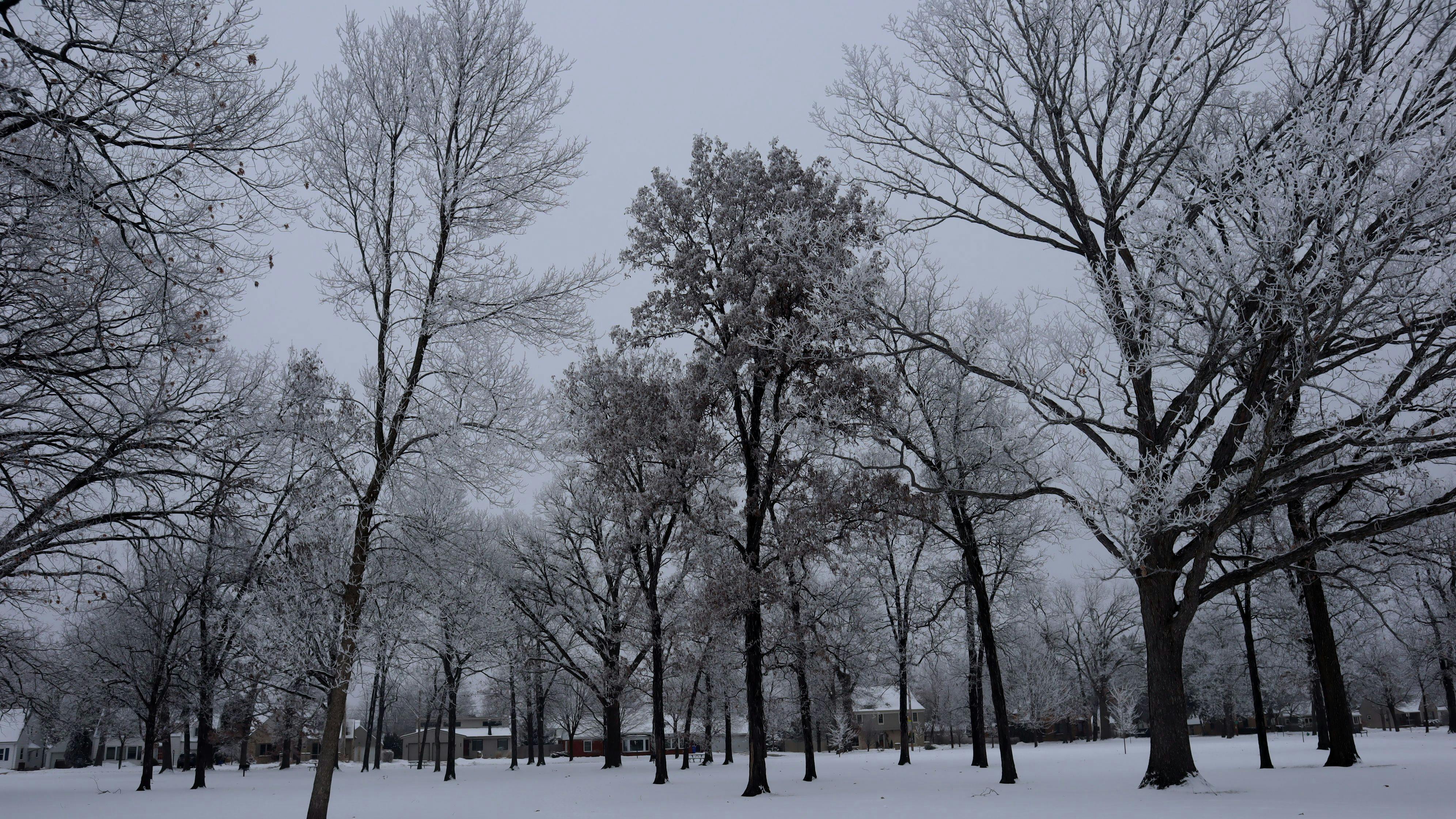 Steven Dickinson - 写真