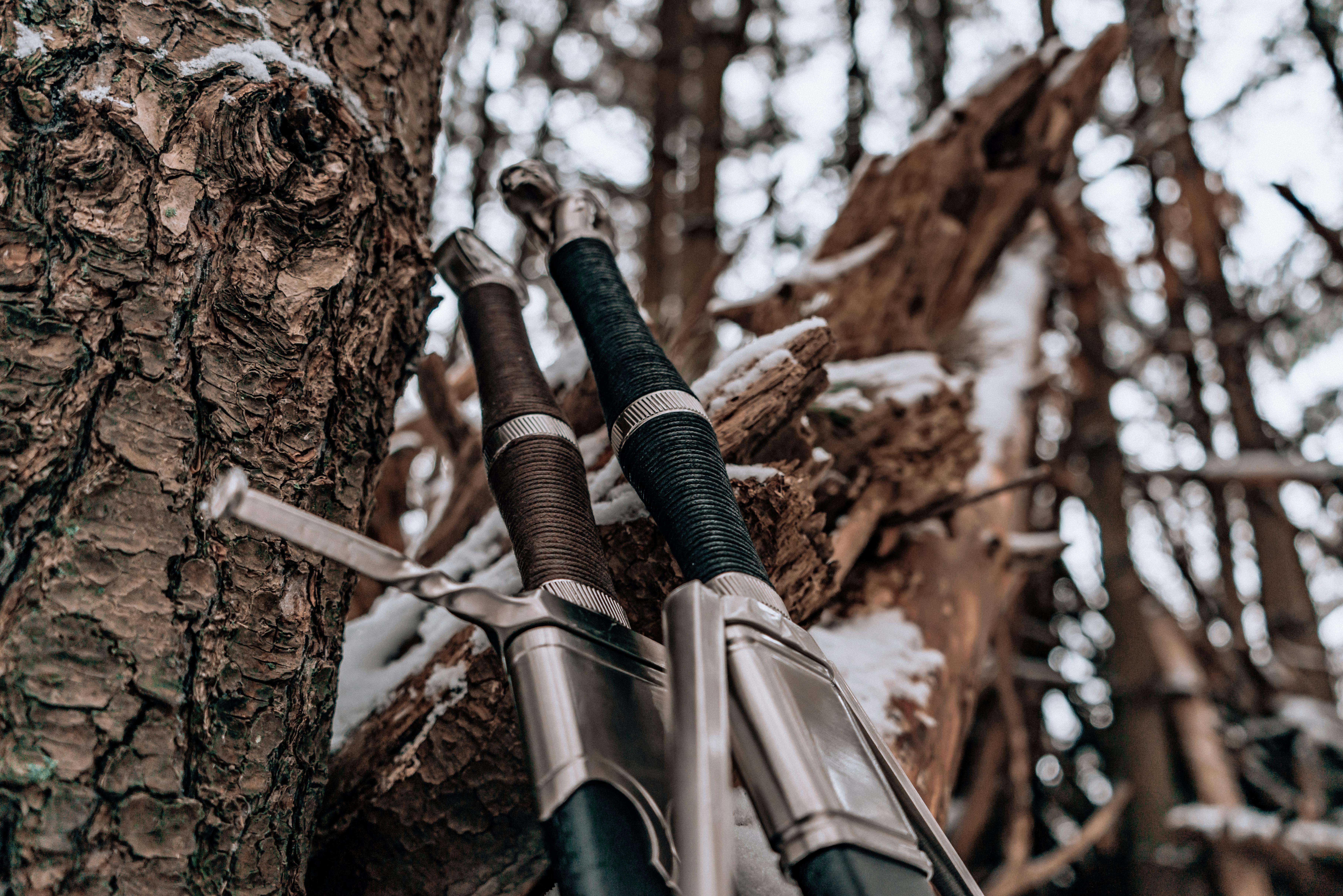 Swords Beside the Tree · Free Stock Photo