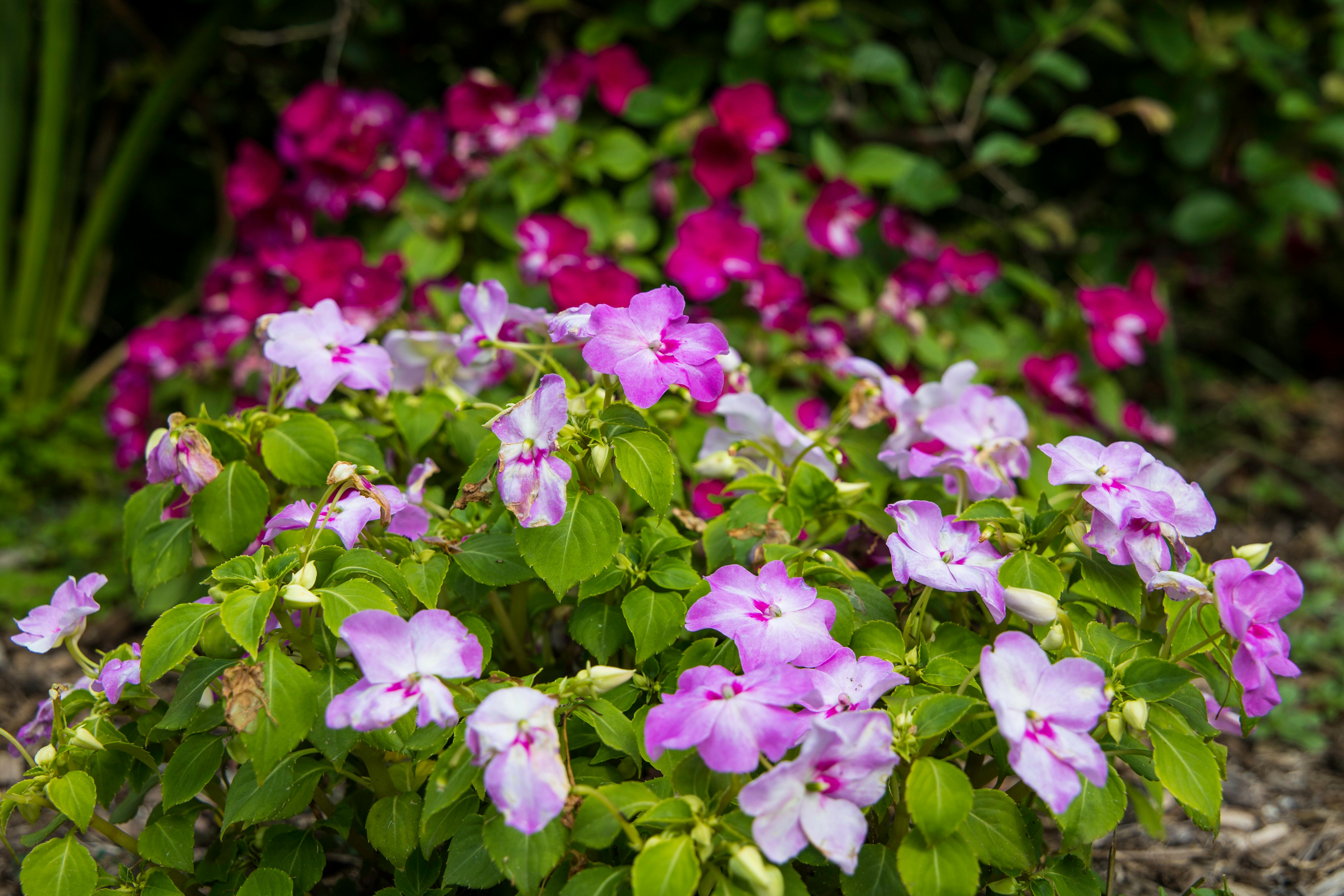 Dylan Shaw - Photography