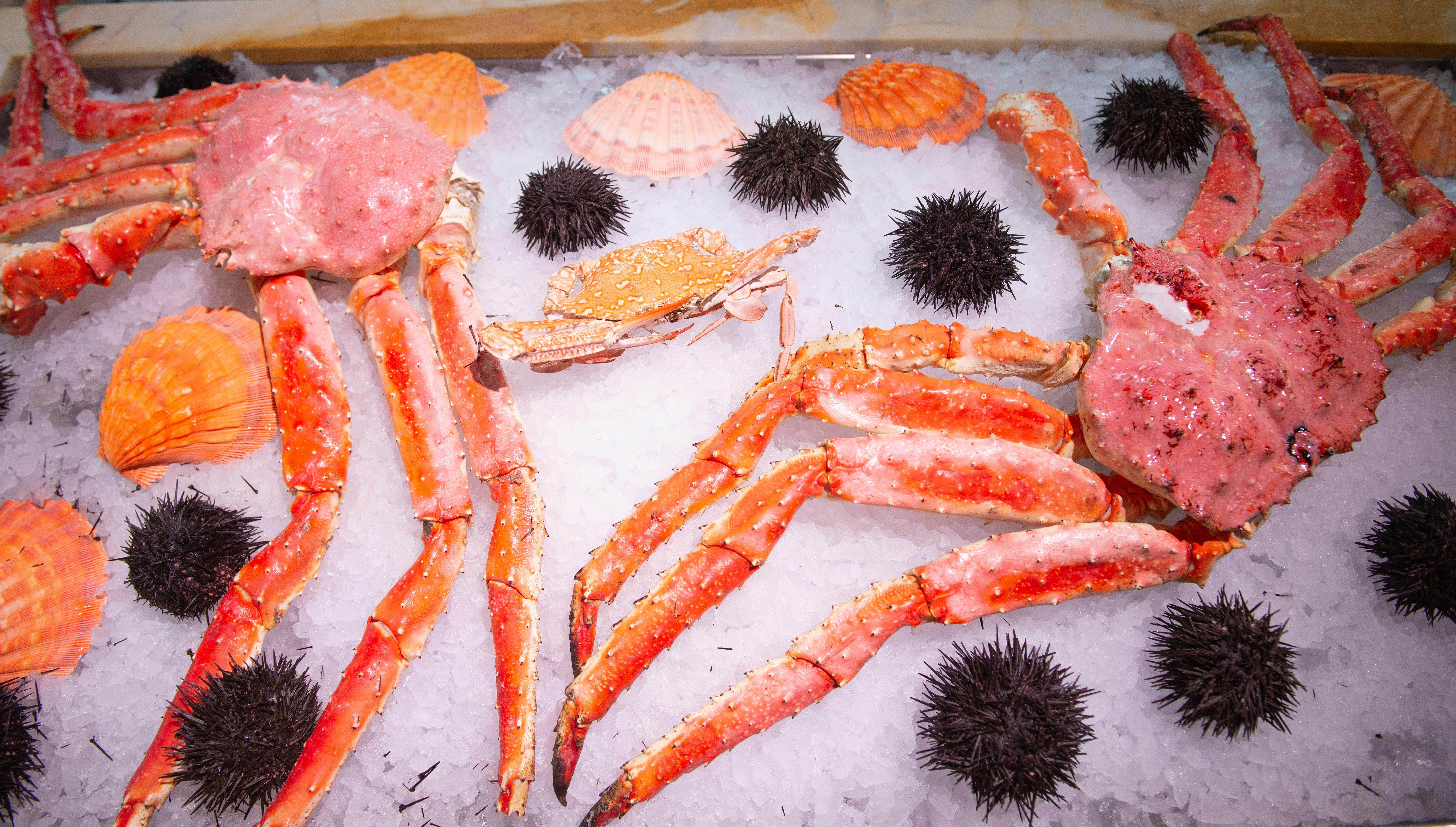 Red Crab · Free Stock Photo