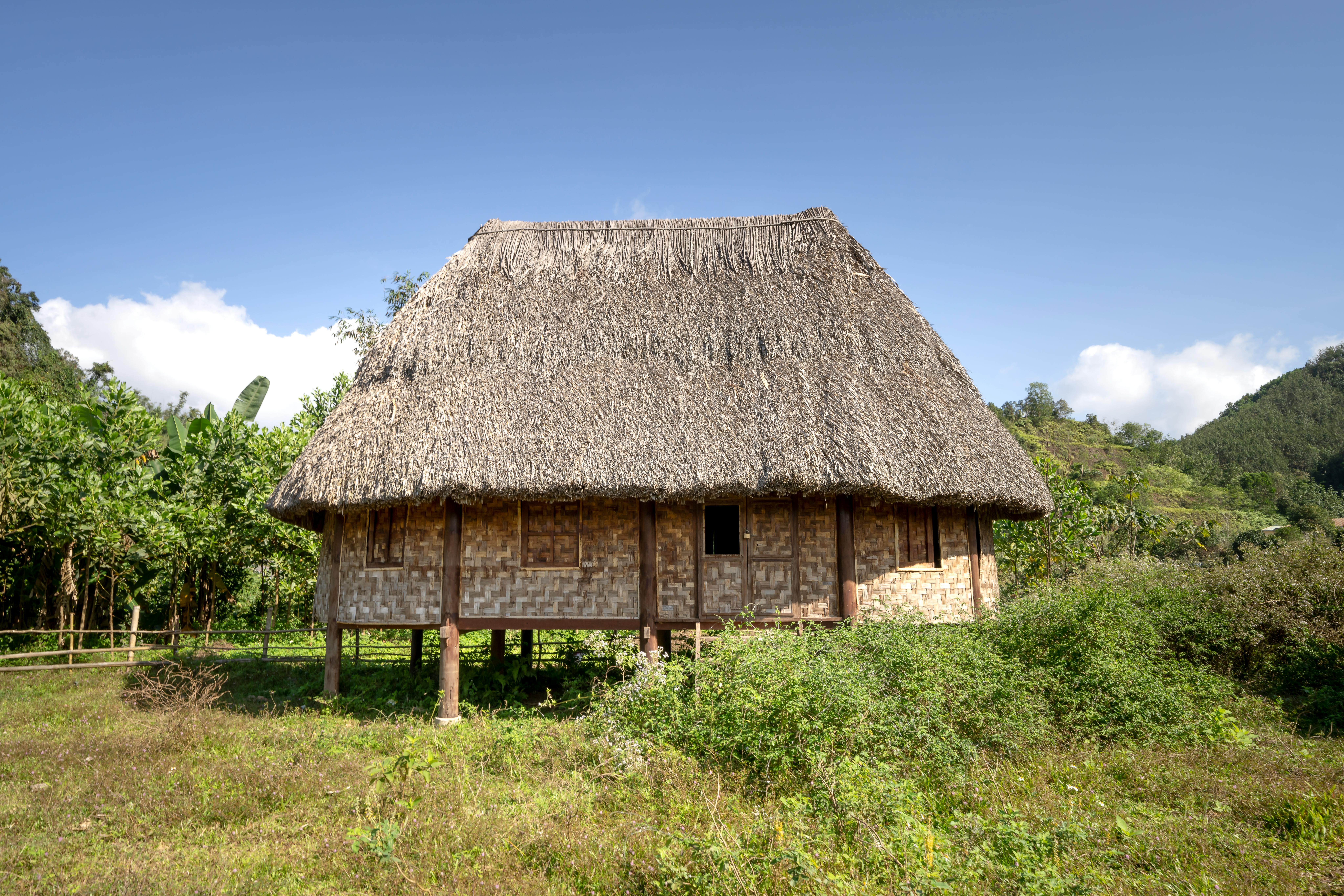 Shabby hut on grassy terrain · Free Stock Photo