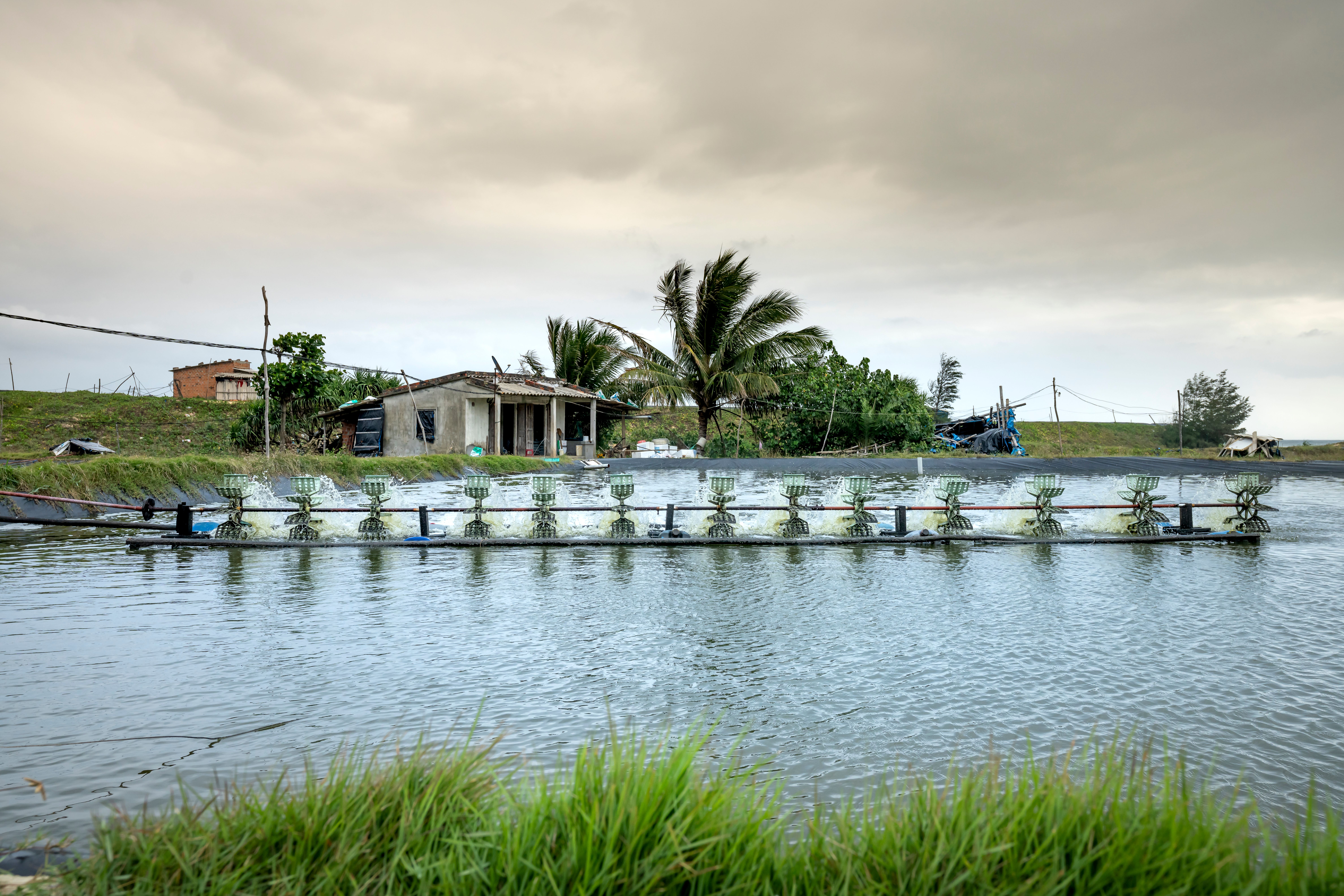 Farm With Watermill Photos, Download The BEST Free Farm With Watermill ...