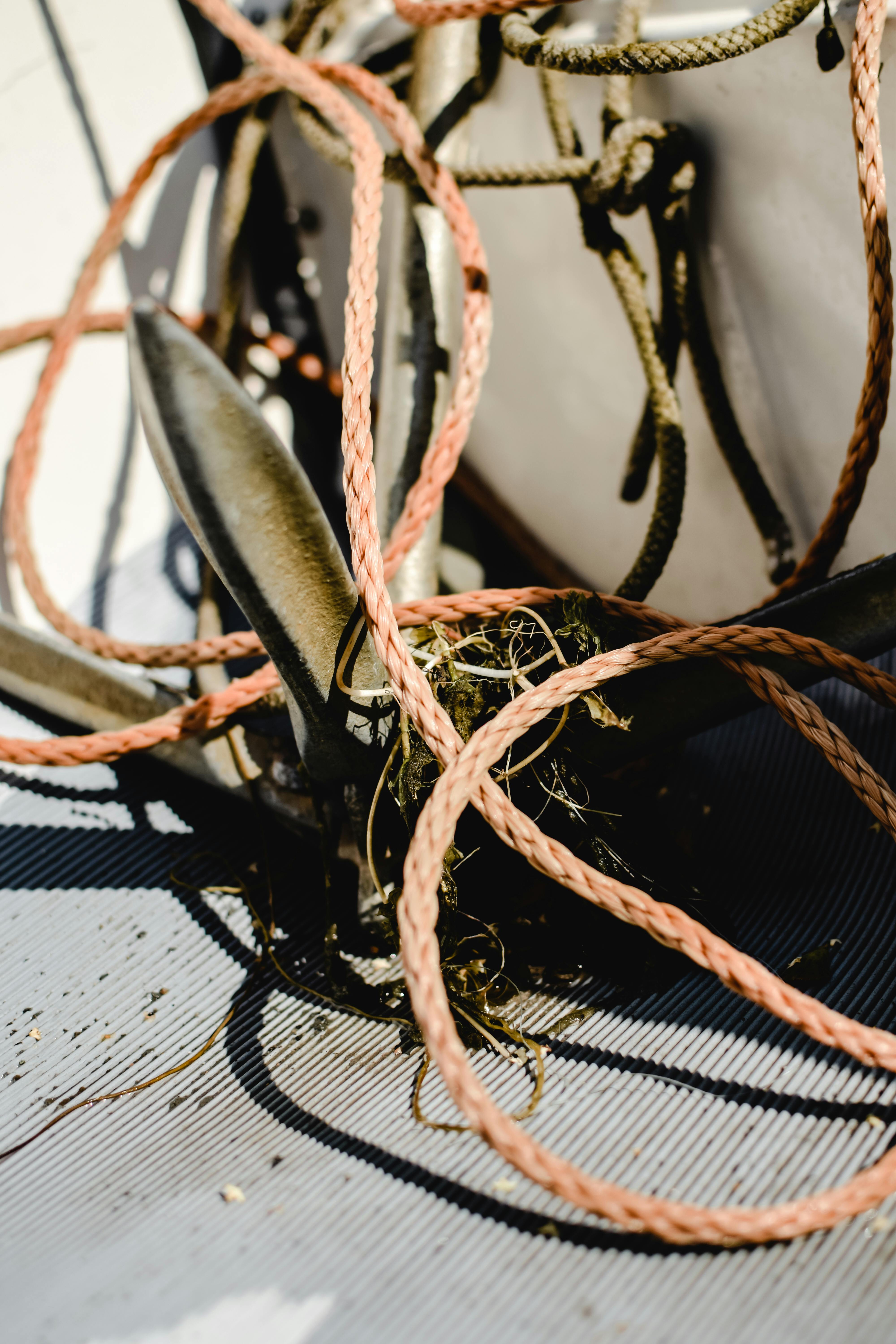 String Entanglement Photos, Download The BEST Free String Entanglement ...