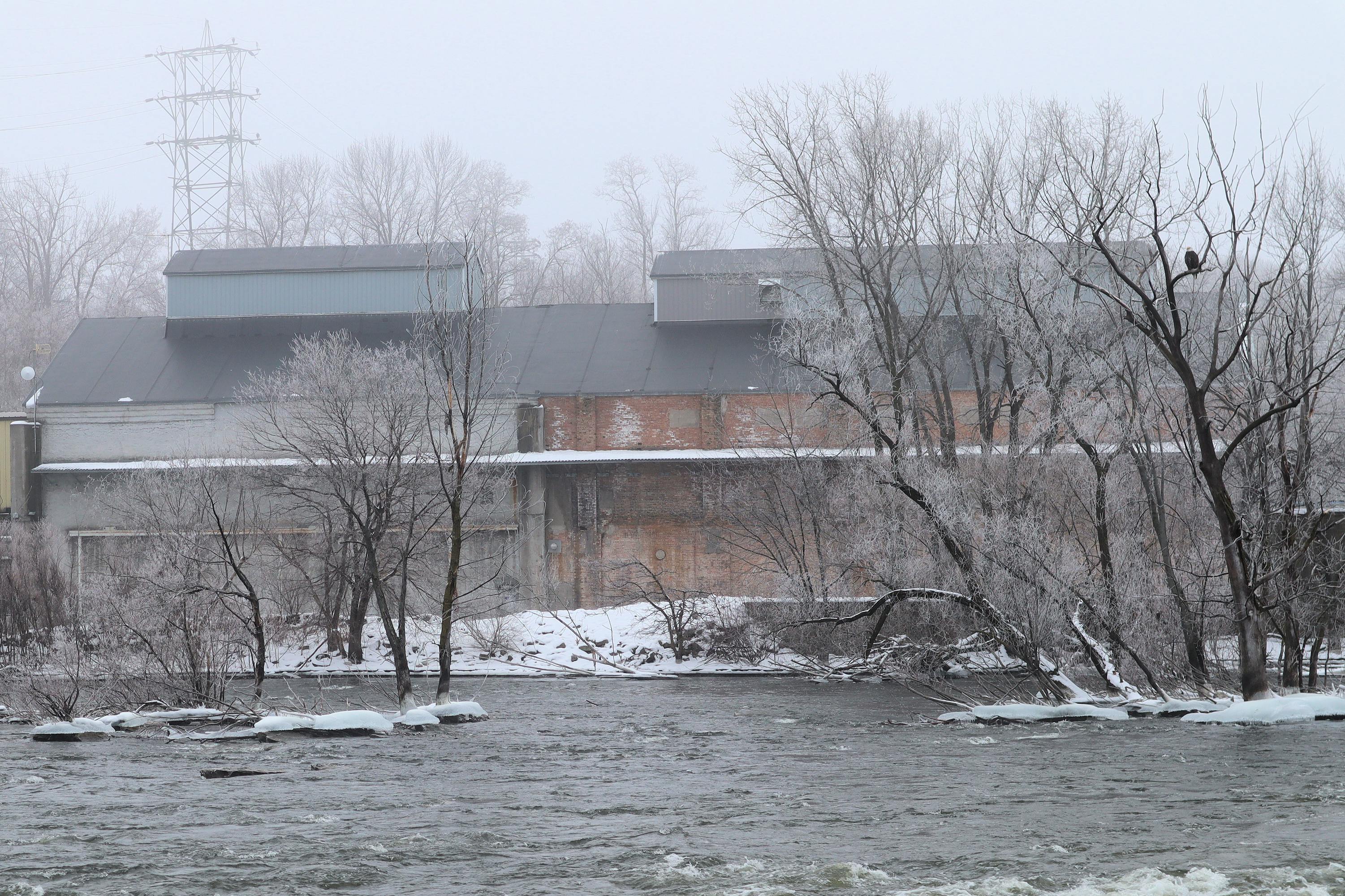 Steven Dickinson - Fotografía