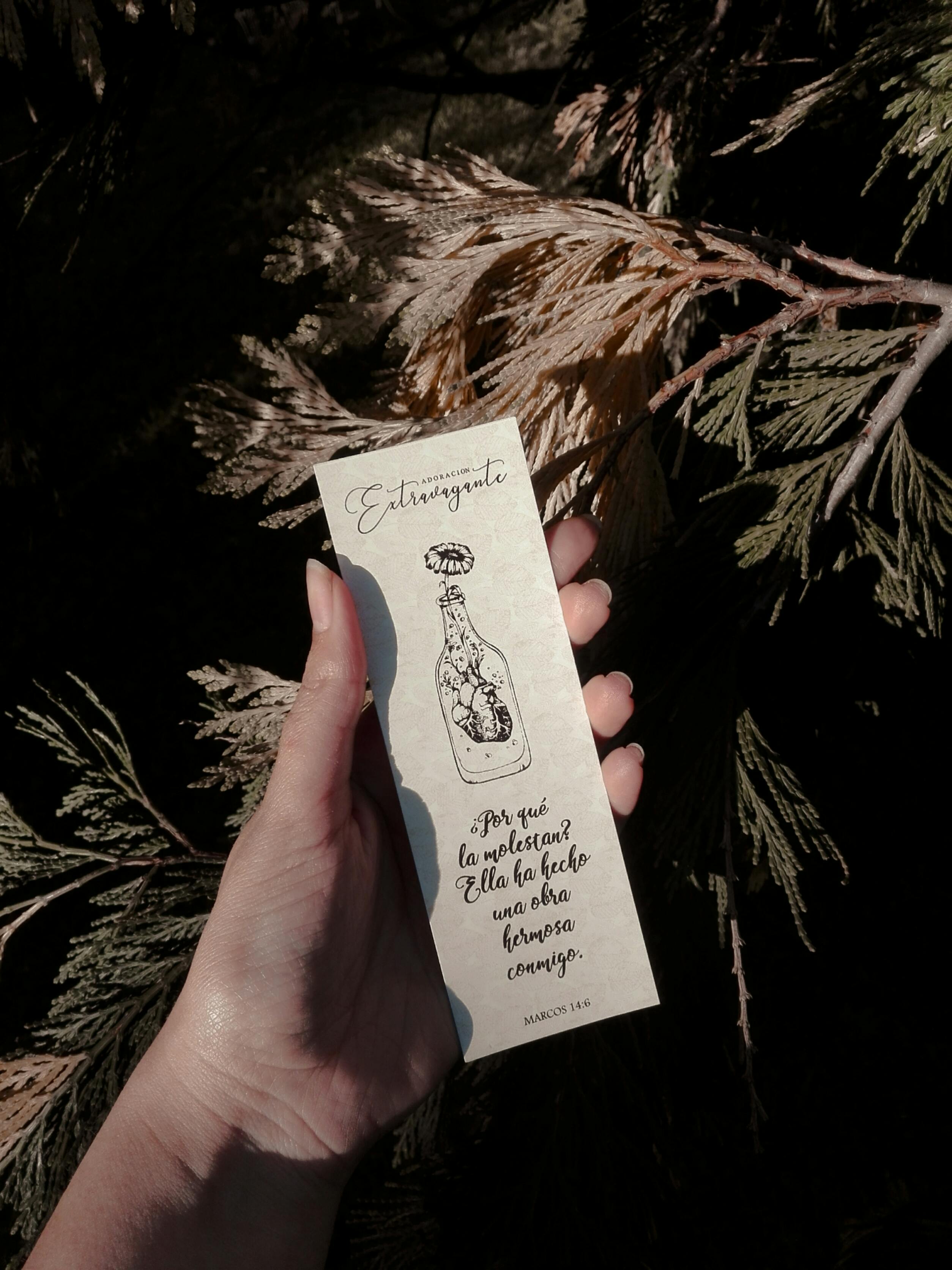 Woman Holding No Comment Signage · Free Stock Photo