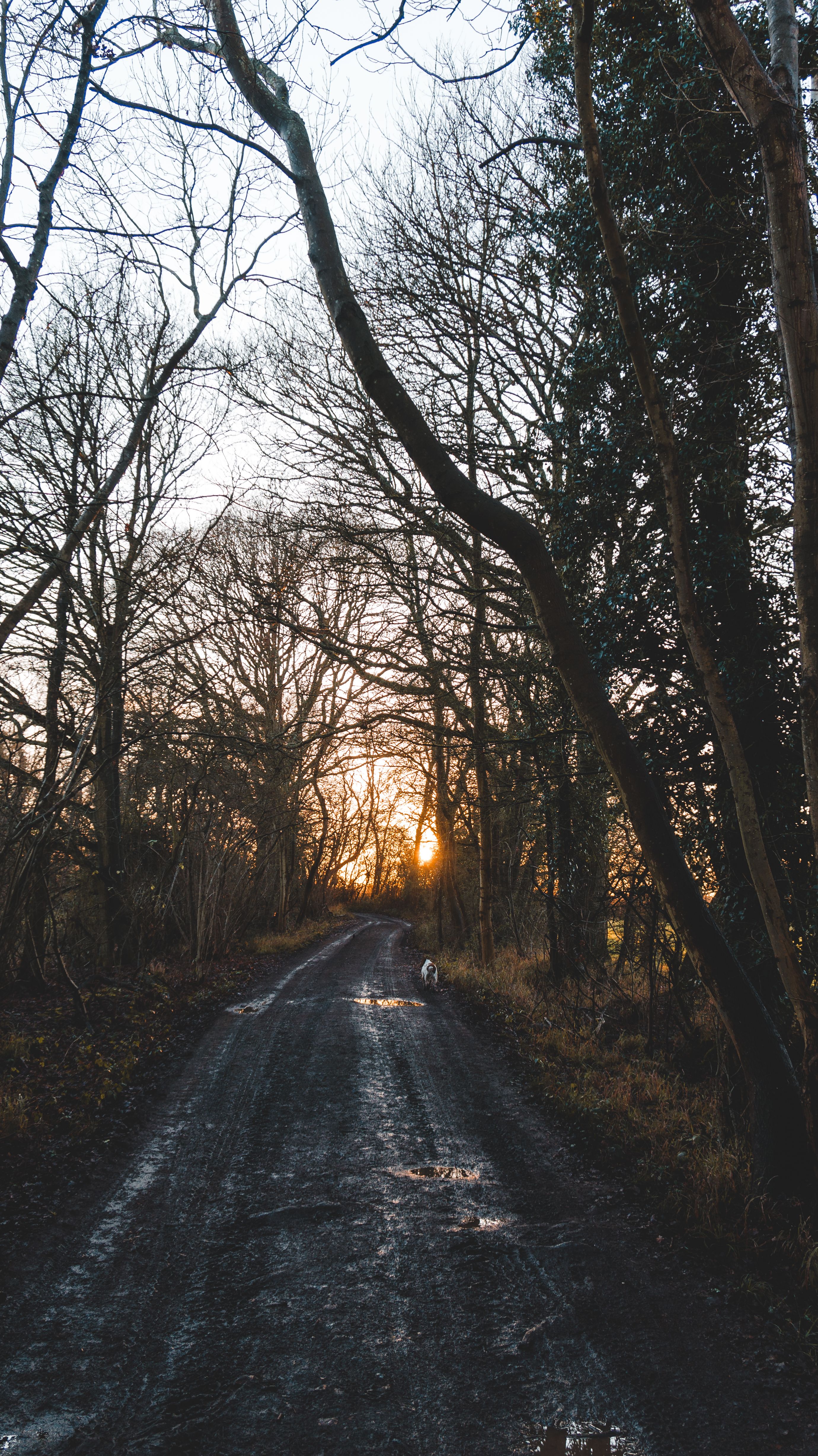 Non Paved Path Photos, Download The BEST Free Non Paved Path Stock ...