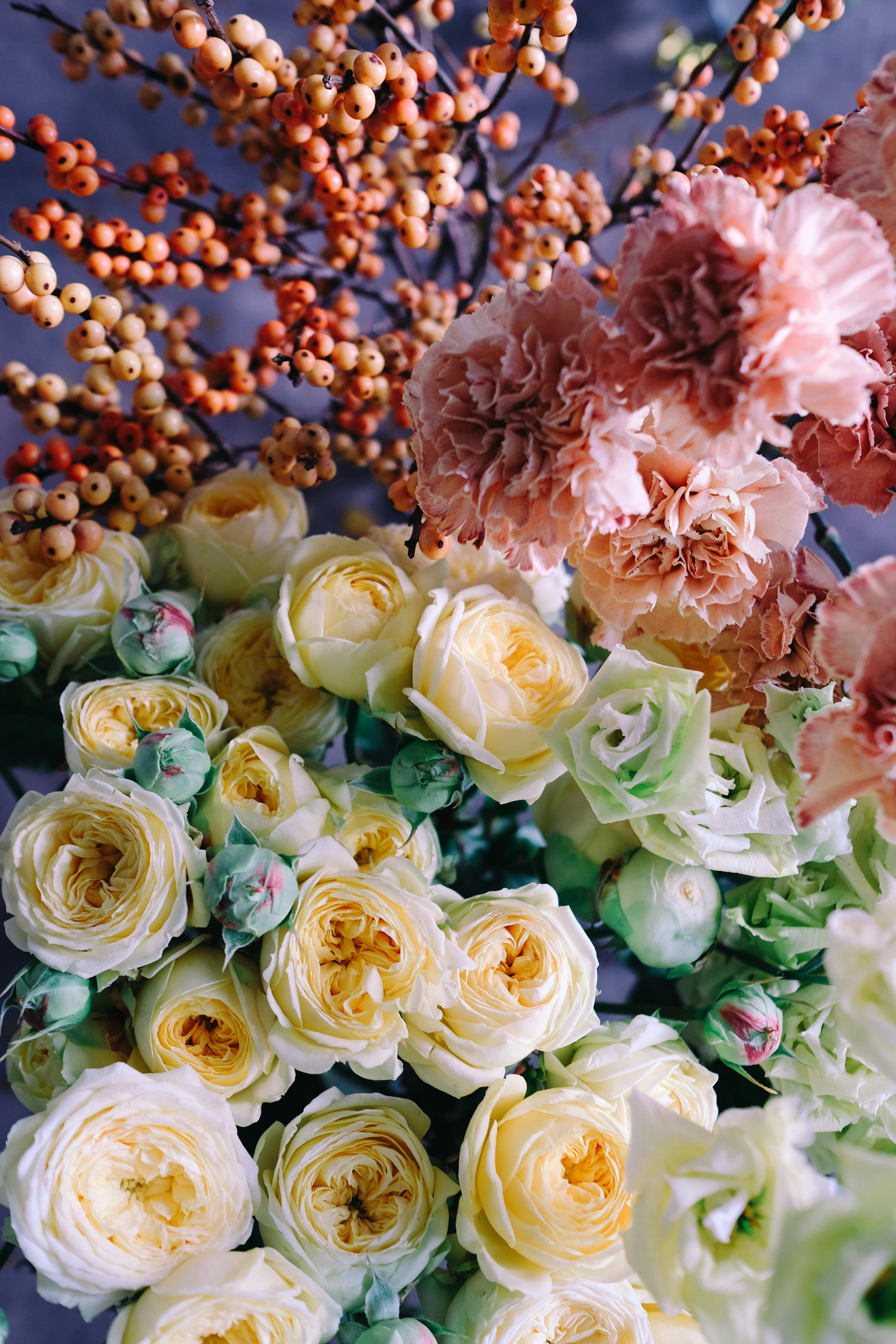 A Cluster of White Roses · Free Stock Photo