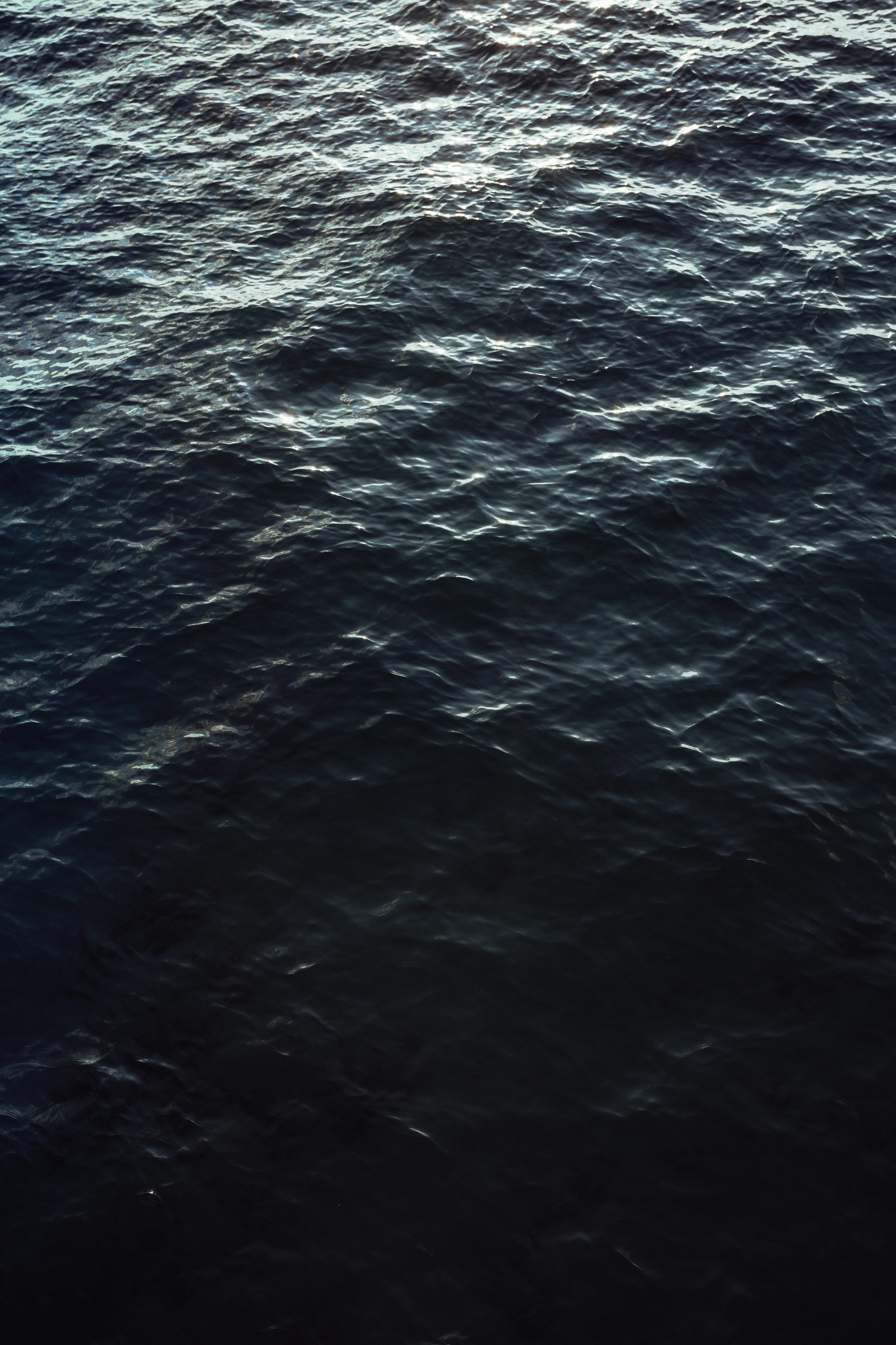 Surface of Water · Free Stock Photo