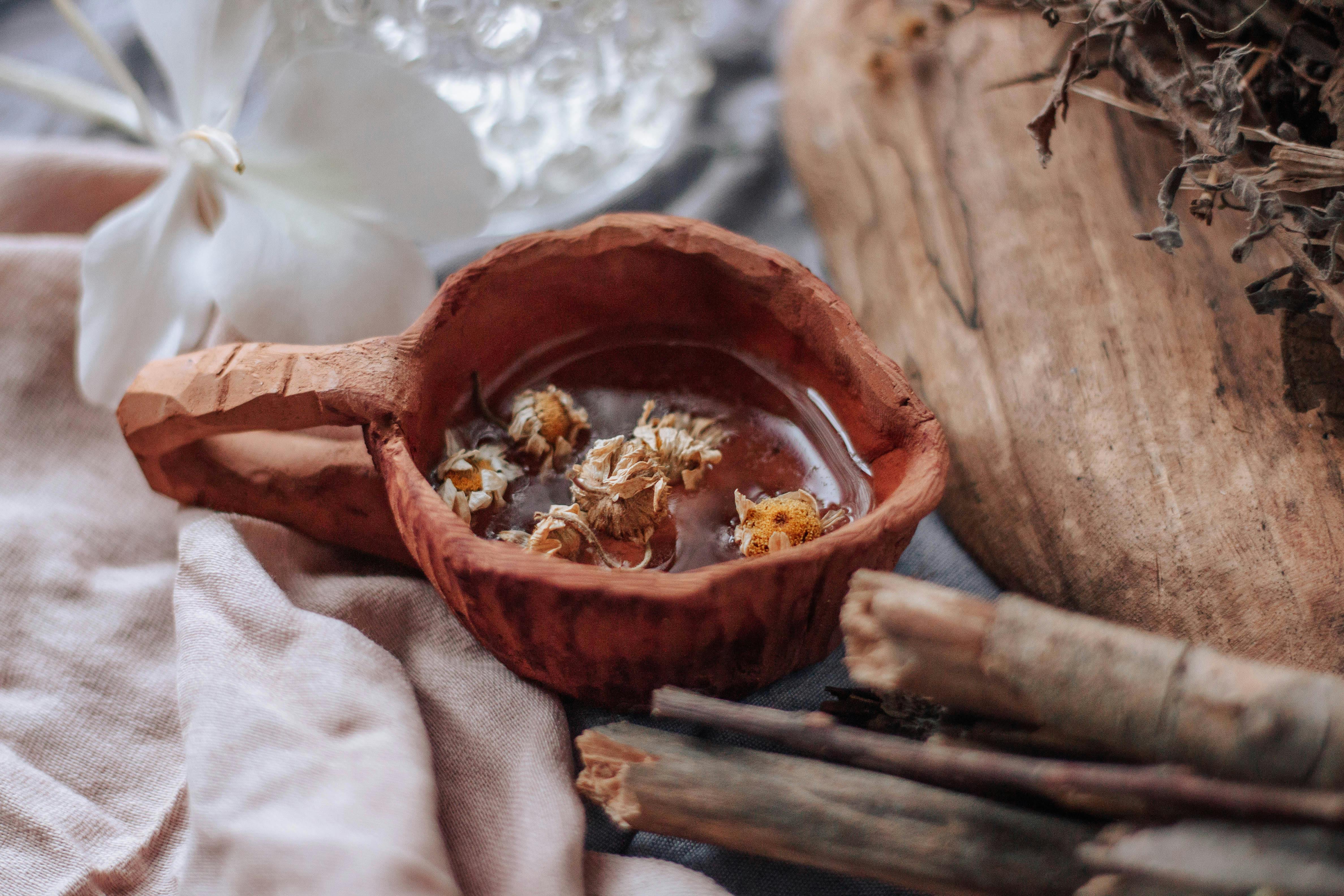 Cinnamon Flower Photos, Download The BEST Free Cinnamon Flower Stock ...