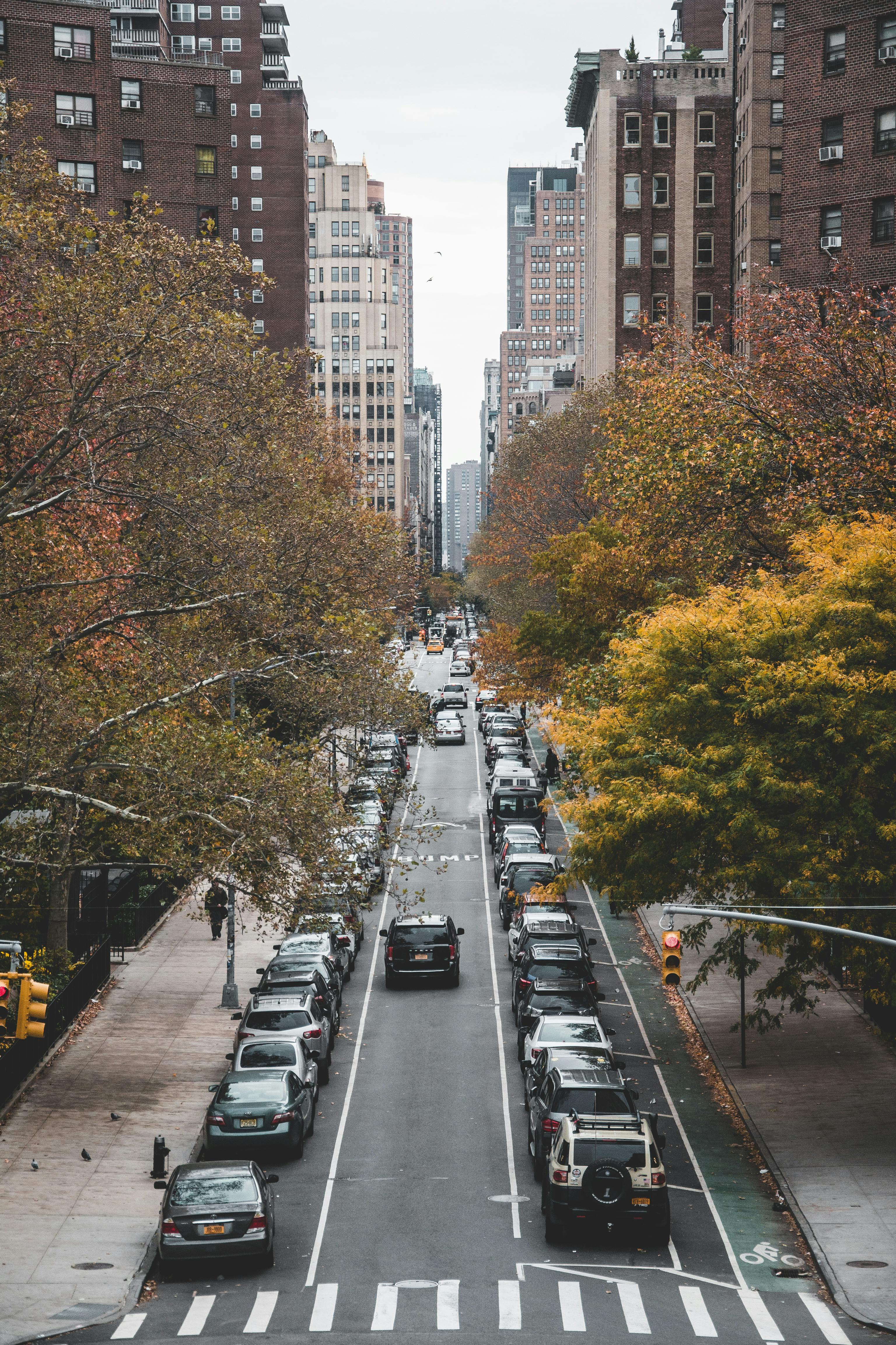 Concrete Street with Cars and Trees on the Sidewalk · Free Stock Photo