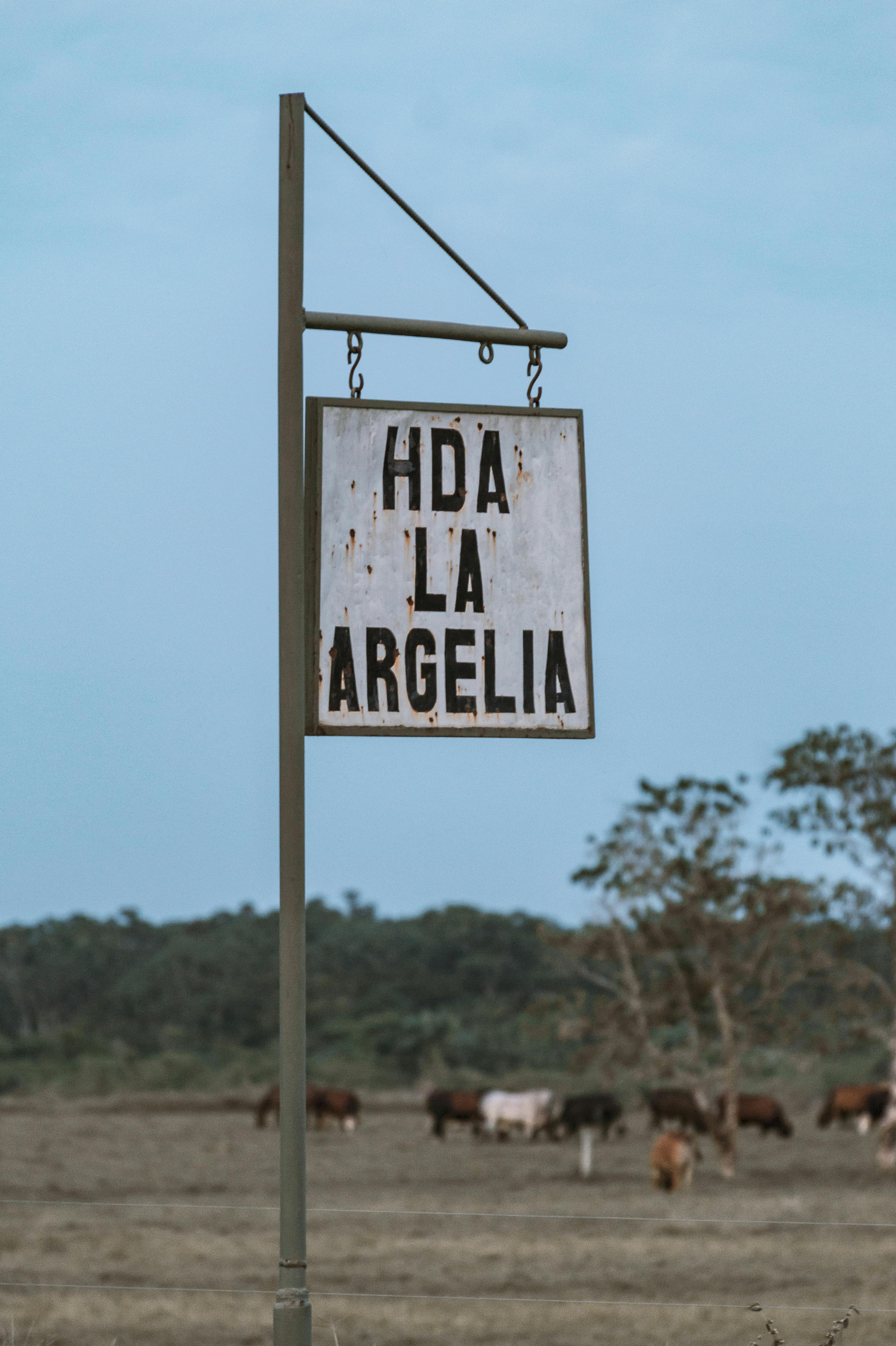 Hda Photos, Download The BEST Free Hda Stock Photos & HD Images