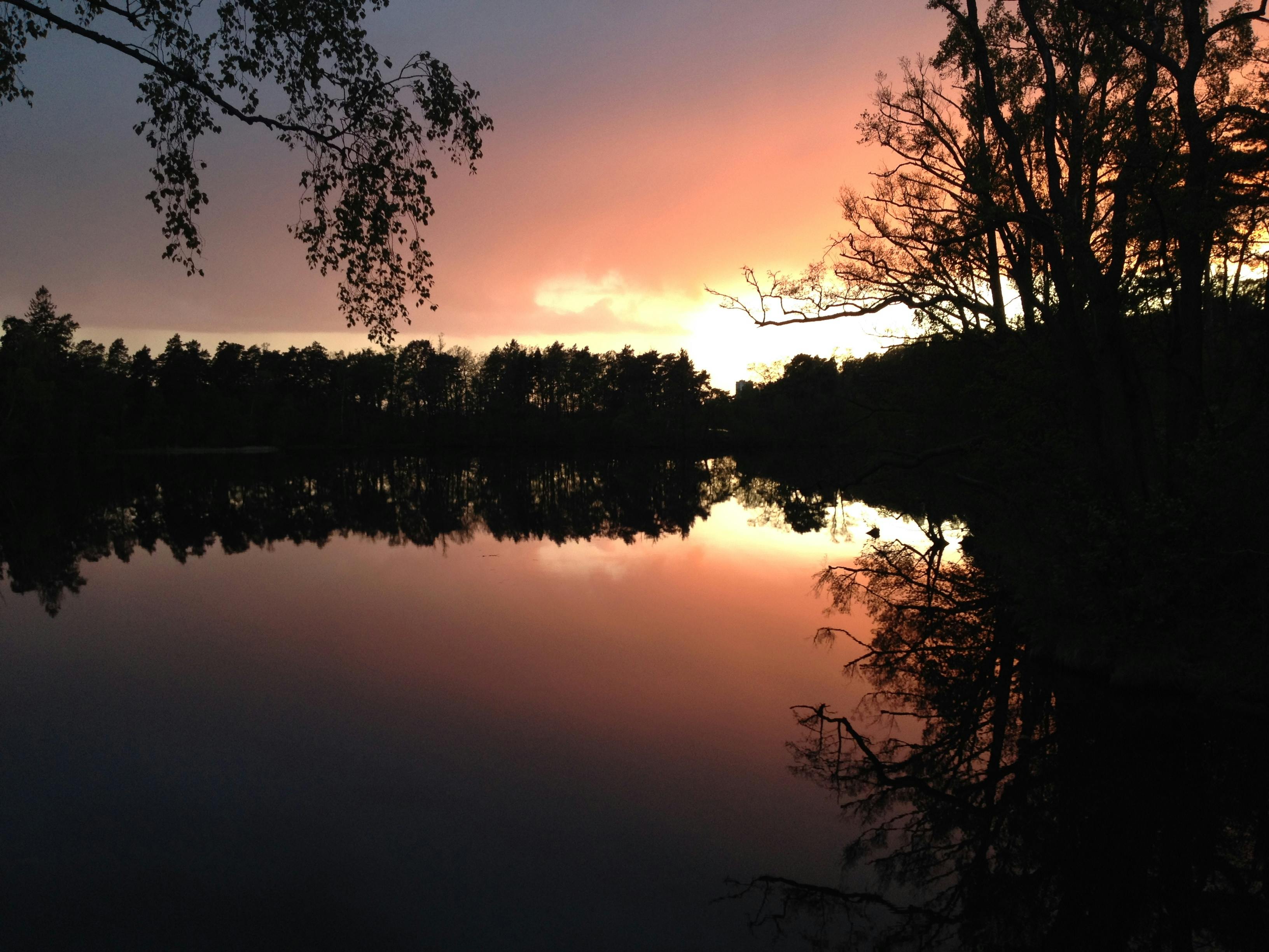 Free stock photo of reflections, sunset, treeline