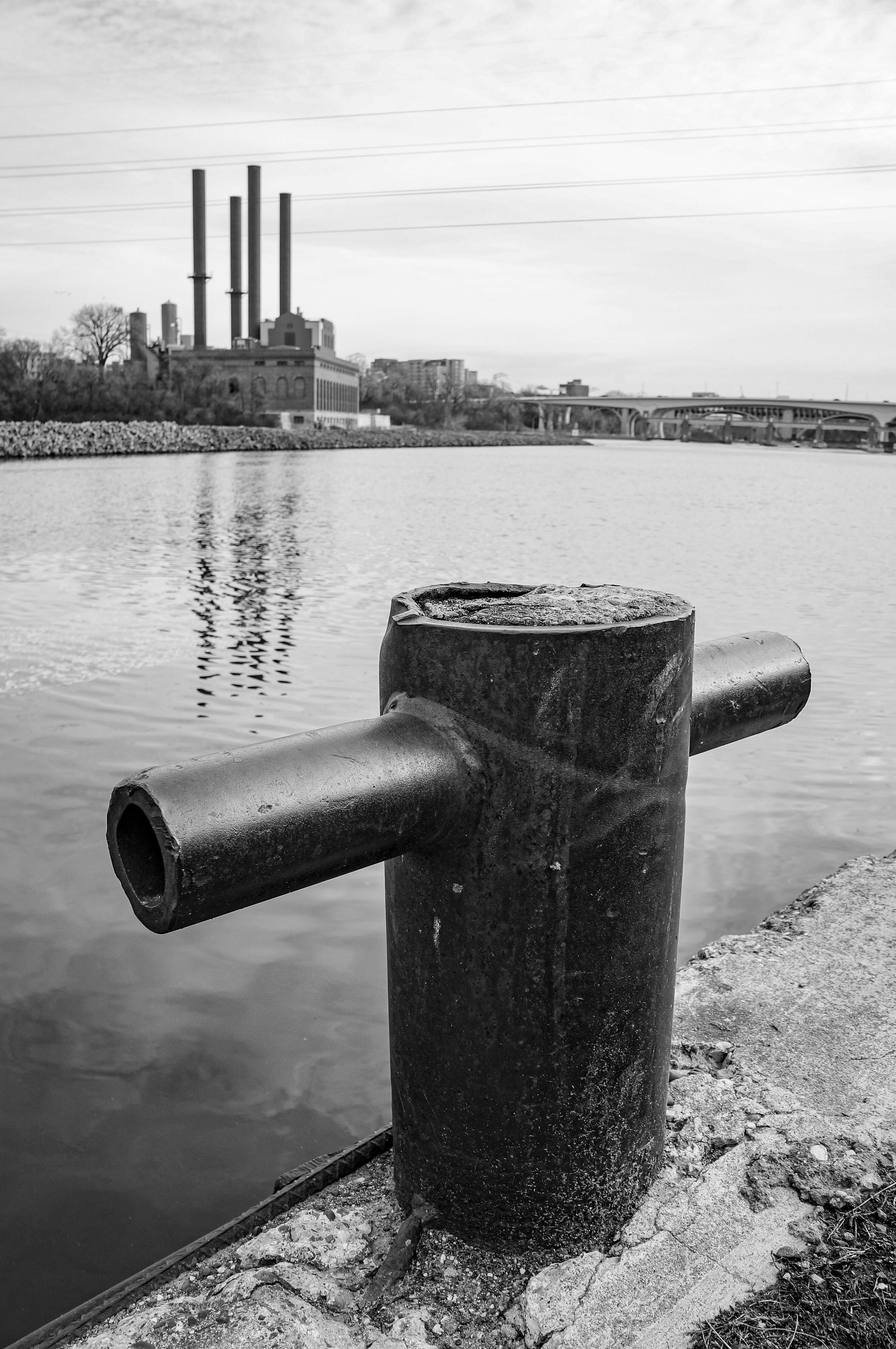 Alice Gu - Photography