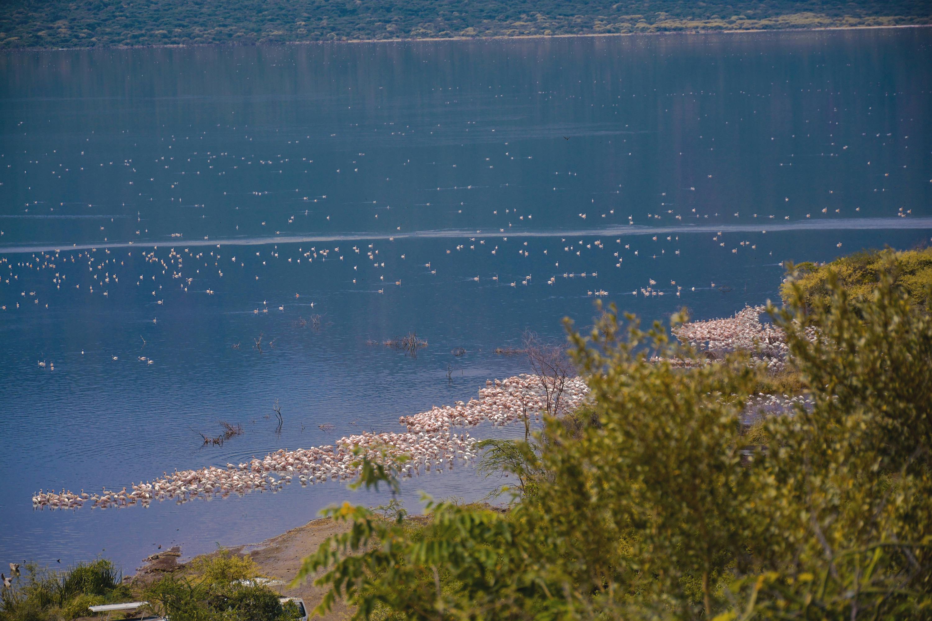 Bisakha Datta - Photography